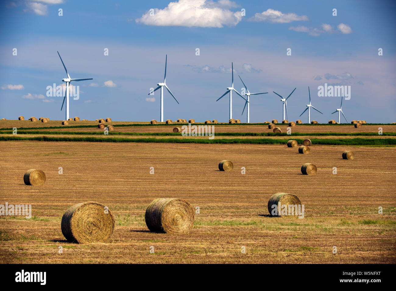 Renewable energy wind turbines in a harvested agricultural field with ...