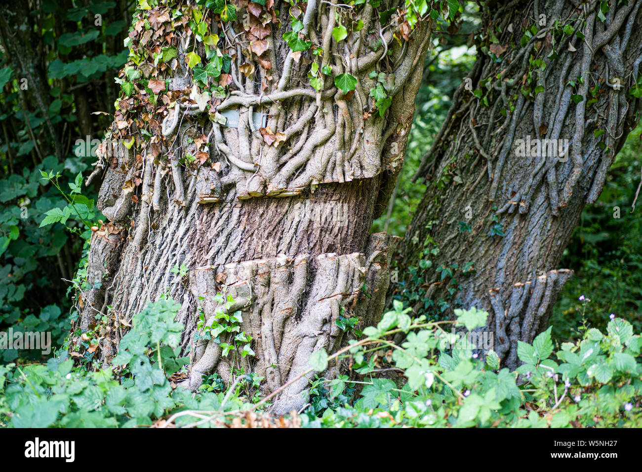 Darent Valley High Resolution Stock Photography and Images - Alamy