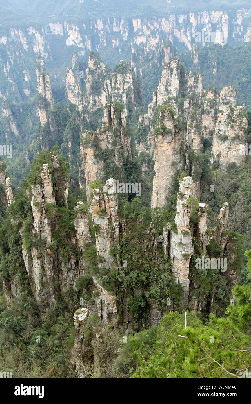 Landscape of the Zhangjiajie National Forest Park, a real Pandora world ...