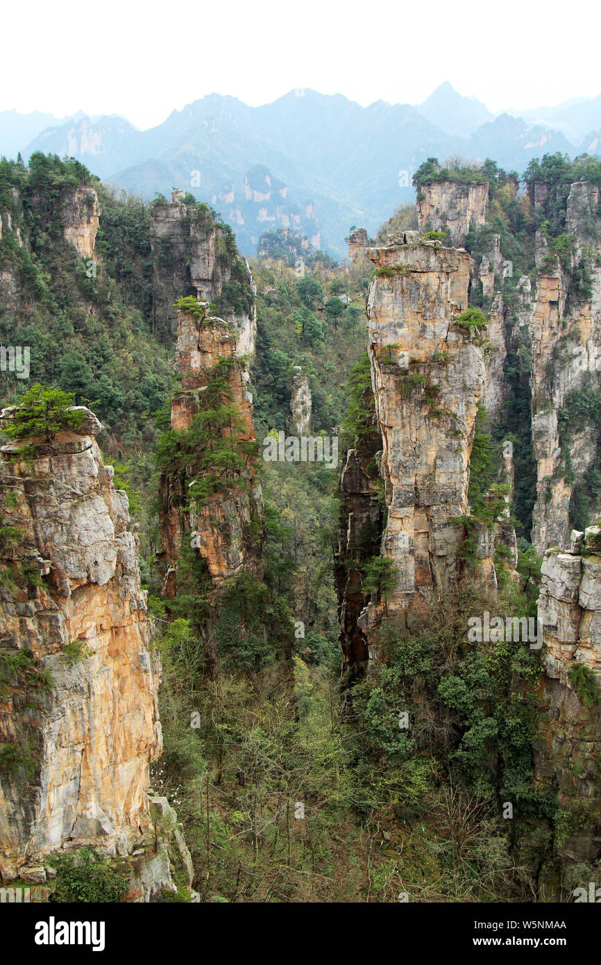 Landscape of the Zhangjiajie National Forest Park, a real Pandora world ...