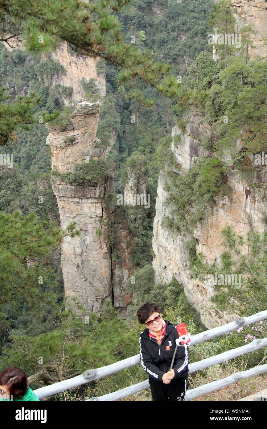 Landscape of the Zhangjiajie National Forest Park, a real Pandora world ...
