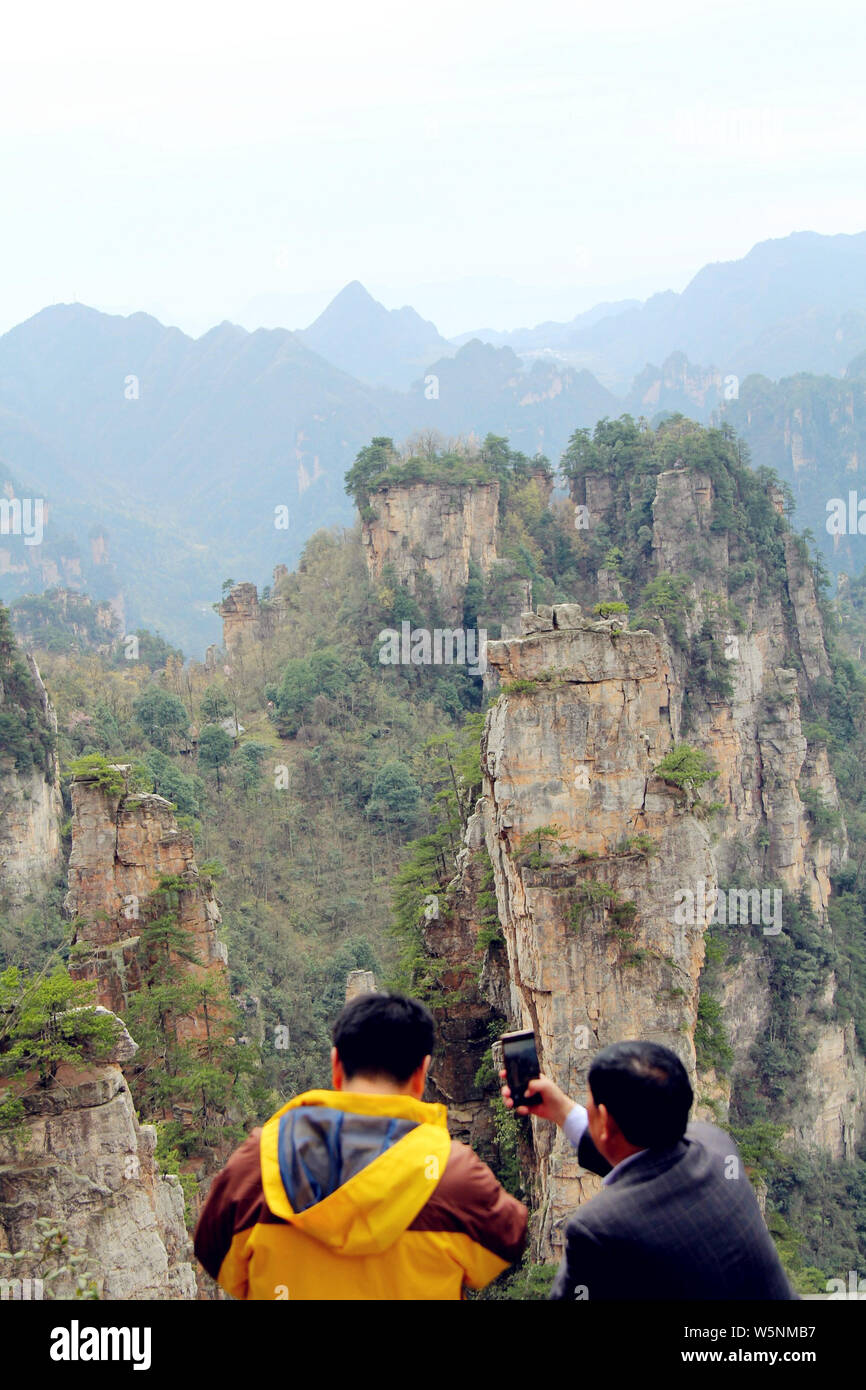 Landscape of the Zhangjiajie National Forest Park, a real Pandora world ...
