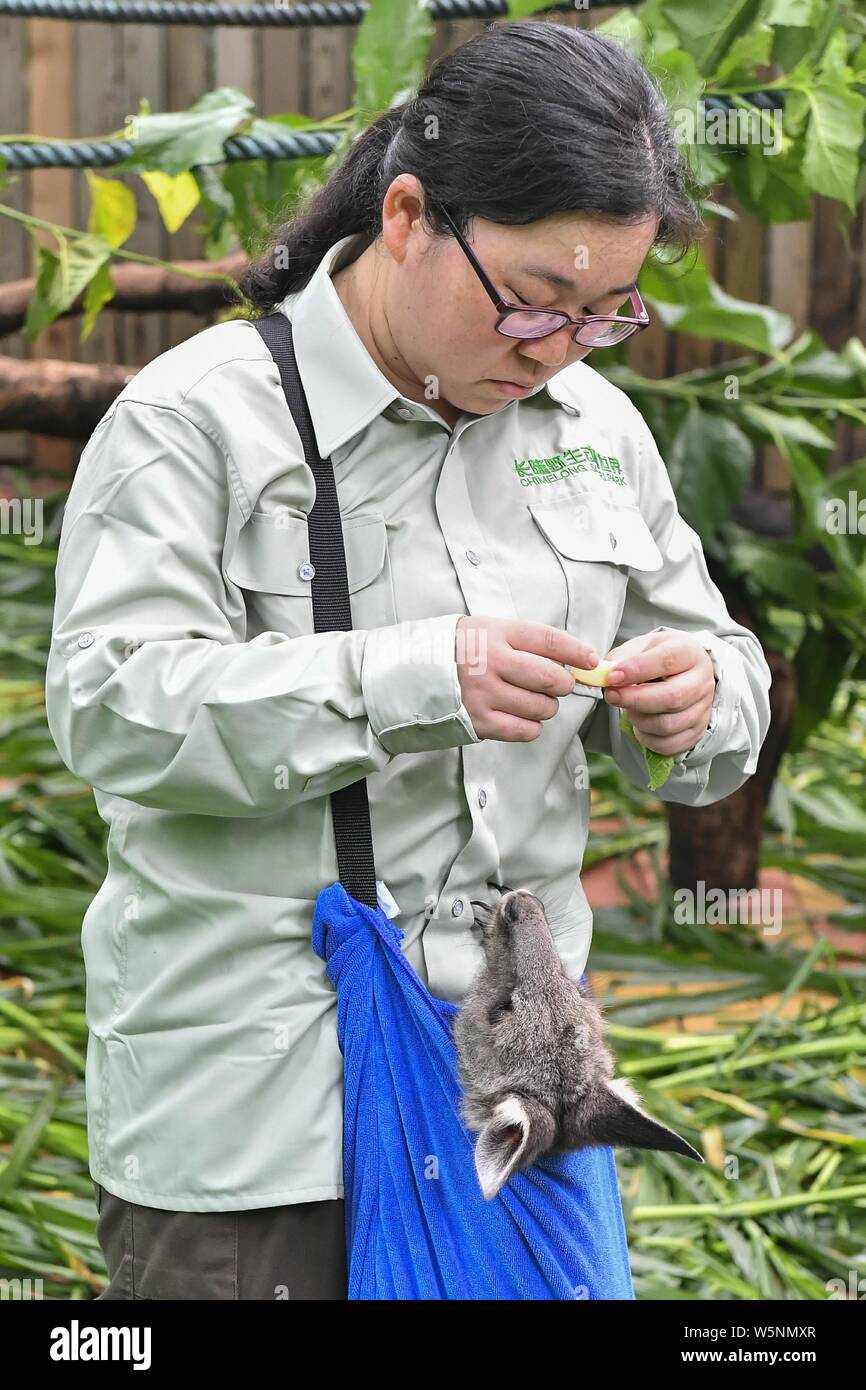 Animal keeper hi-res stock photography and images - Alamy