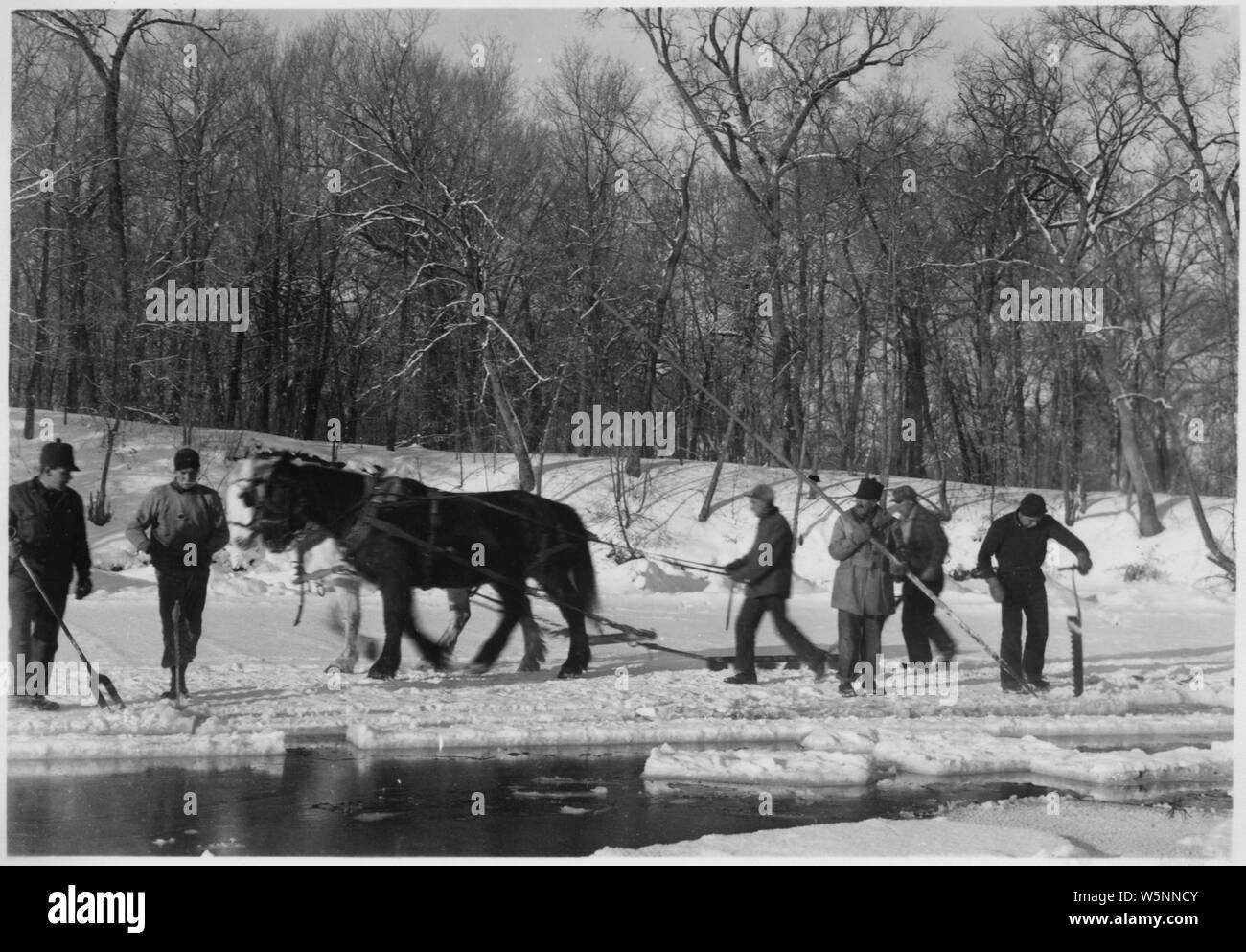 Ice cutting crew at work Stock Photo - Alamy
