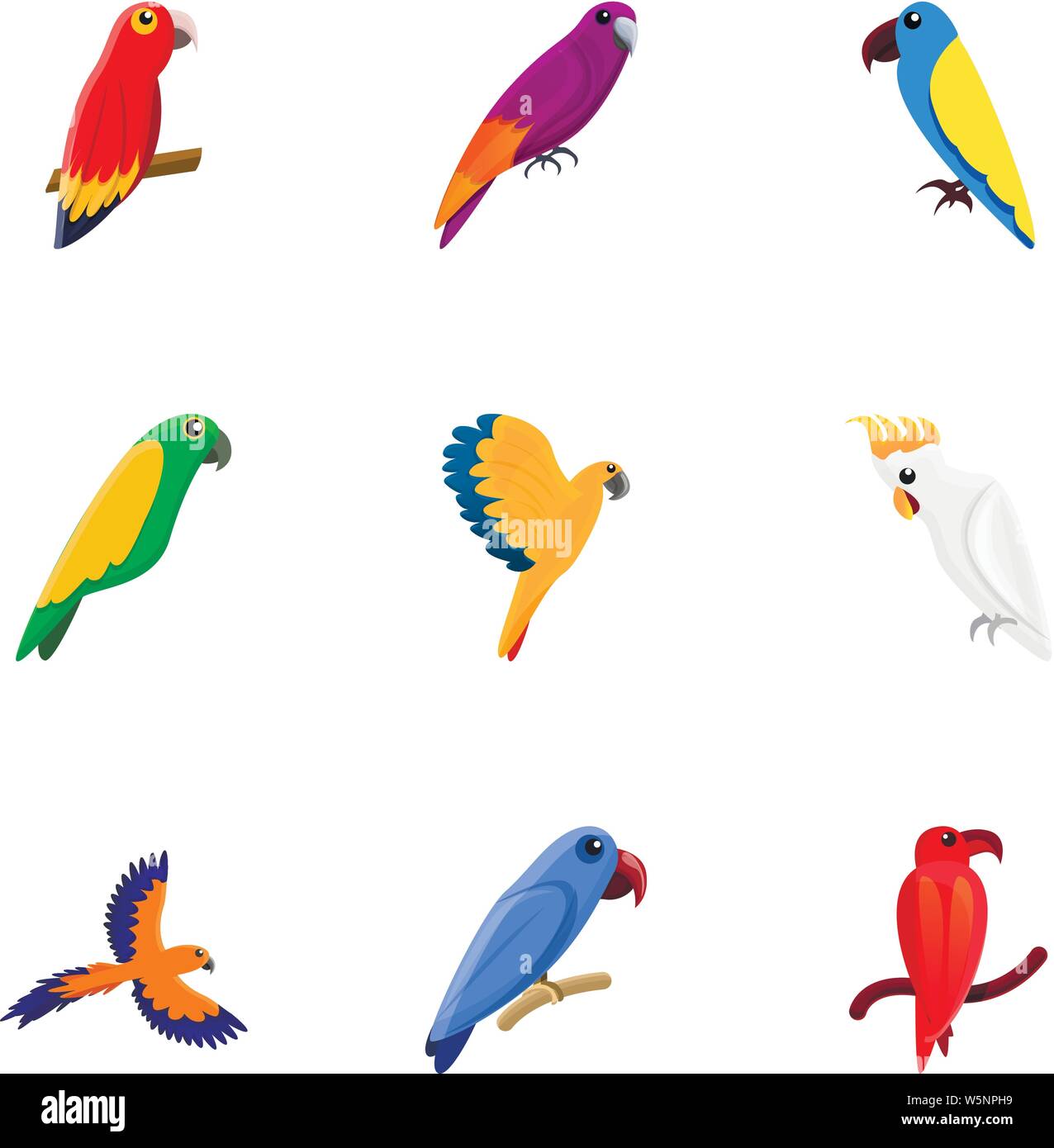 Parrot icon set. Cartoon set of 9 parrot vector icons for web design ...