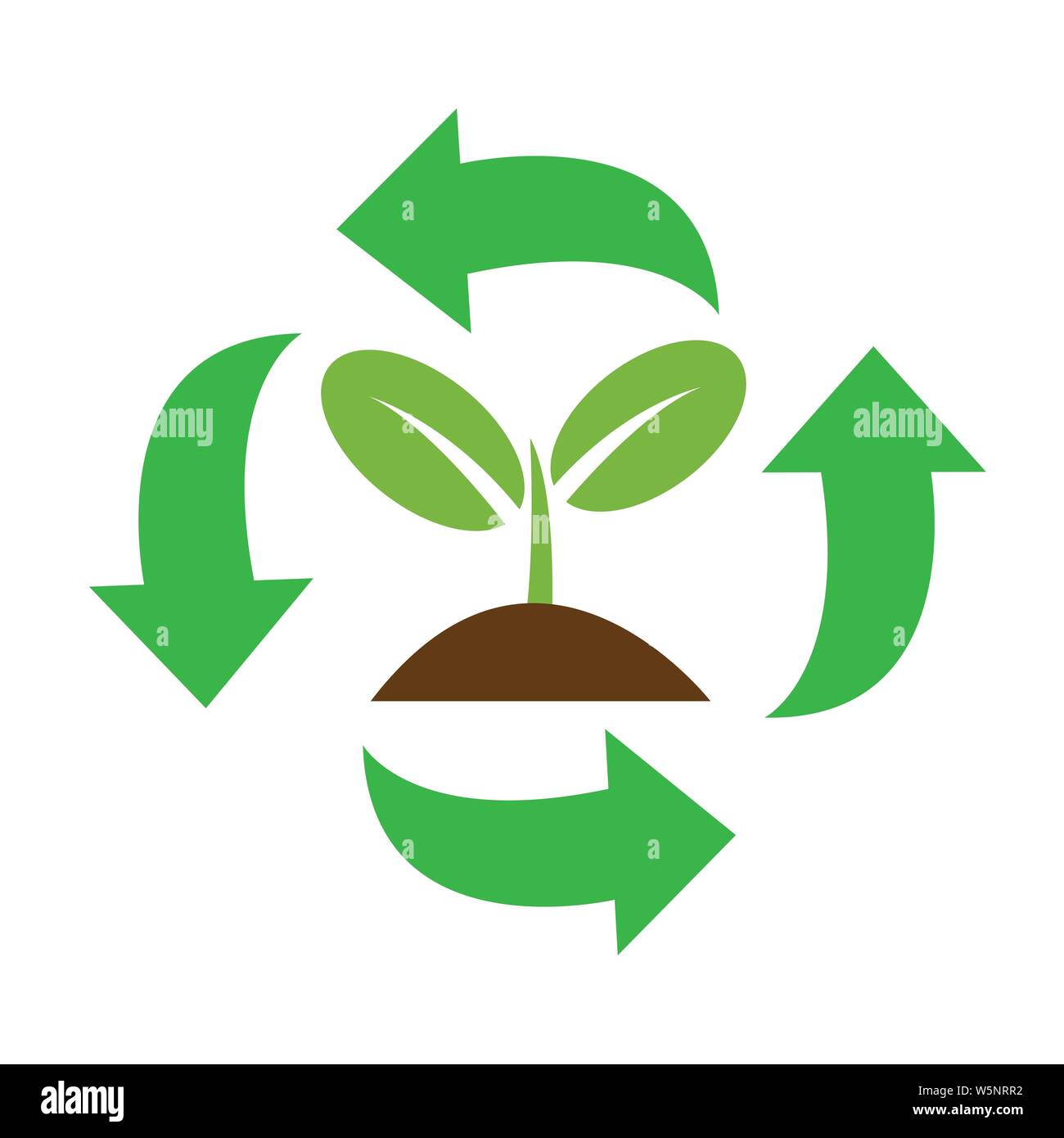 Plant tree icon vector Stock Vector Image & Art - Alamy