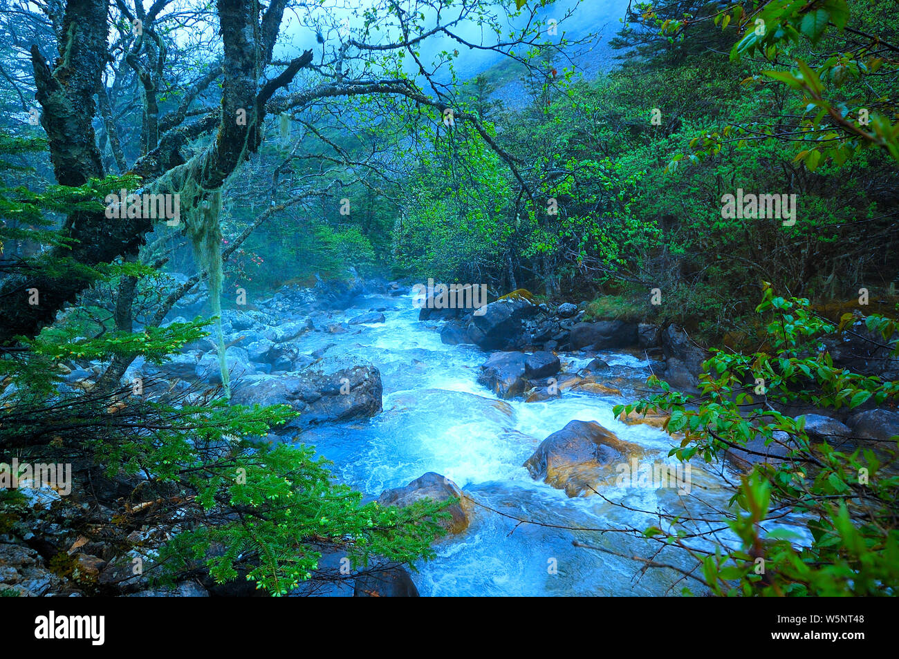 Landscape of the Kangding Love Song or Mugecuo Scenic Area in Kangding ...