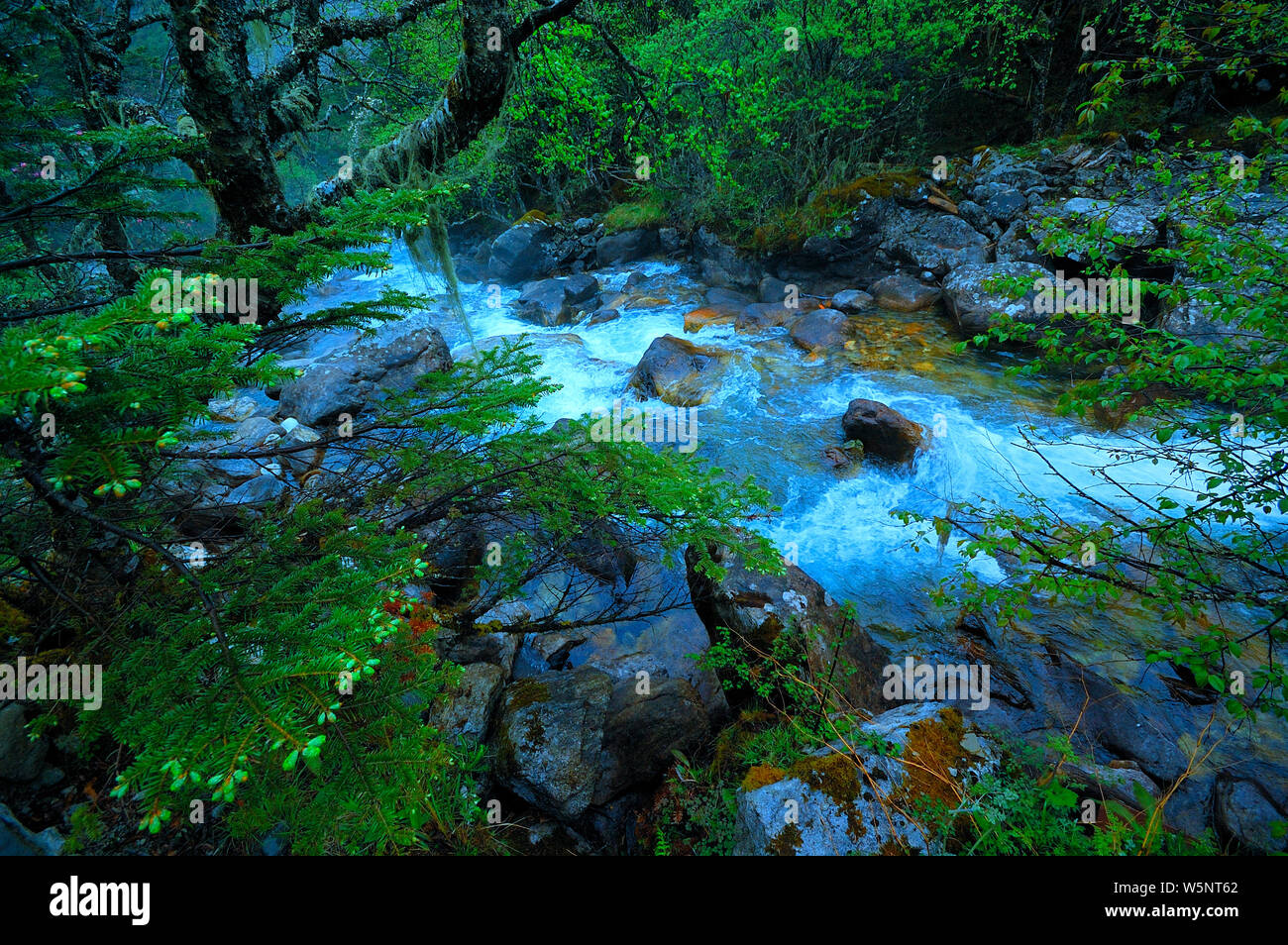 Landscape of the Kangding Love Song or Mugecuo Scenic Area in Kangding ...
