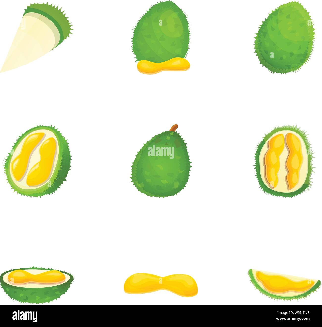 Durian icon set. Cartoon set of 9 durian vector icons for web design ...