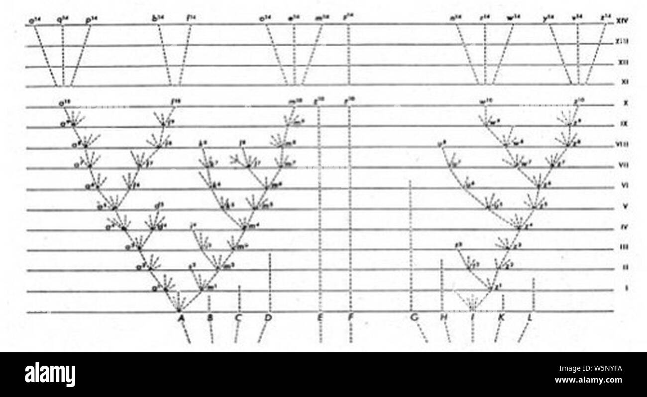 Tree of life print Cut Out Stock Images & Pictures - Alamy