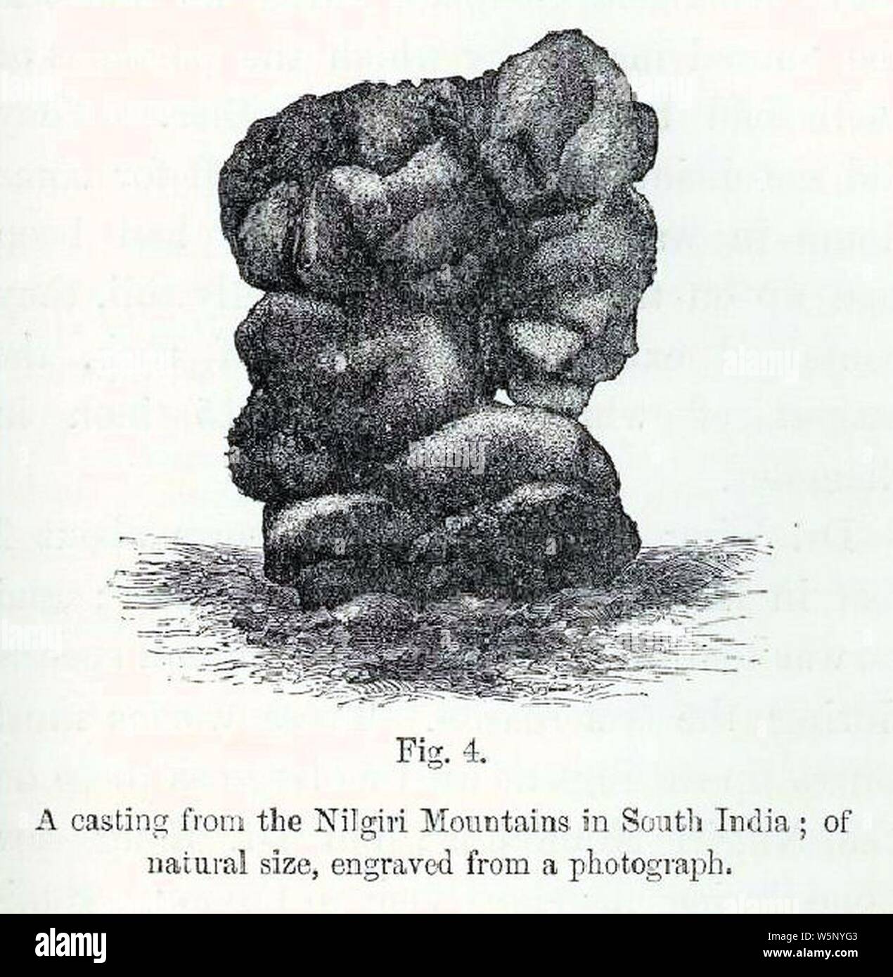 Darwin. Earthworm, Fig. 4B Stock Photo - Alamy