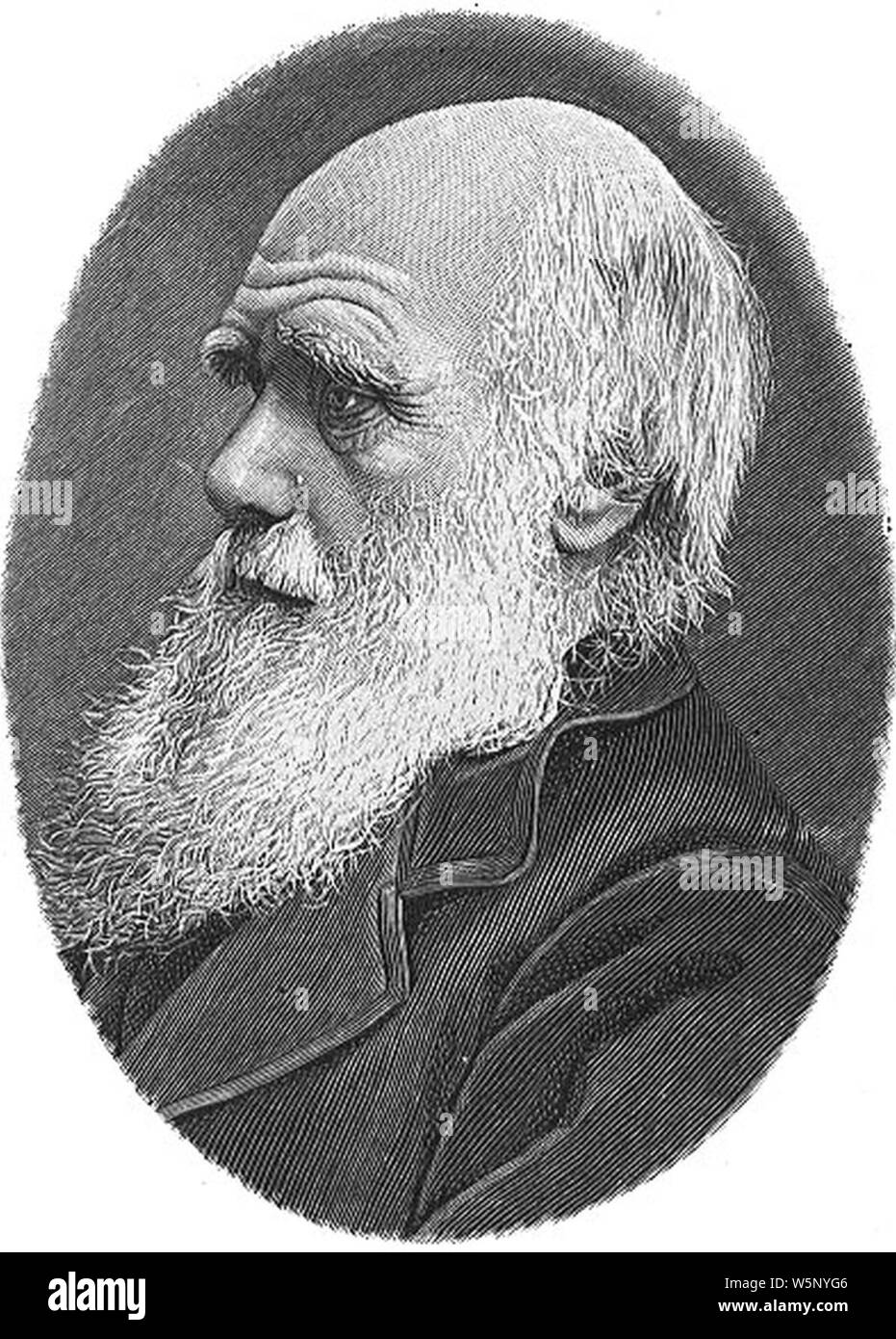 Darwin collection Black and White Stock Photos & Images - Alamy
