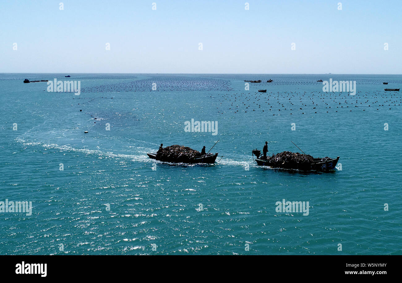 Harvest edible seaweed hi-res stock photography and images - Alamy
