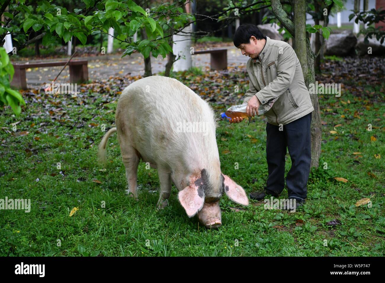 Jianchuan museum chengdu hi-res stock photography and images - Alamy