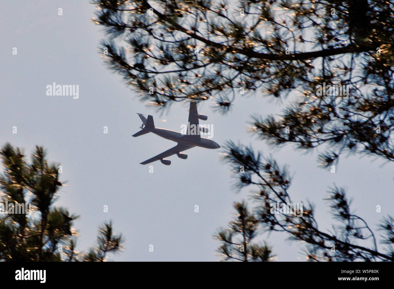 Aircraft flying over forest hi-res stock photography and images - Alamy