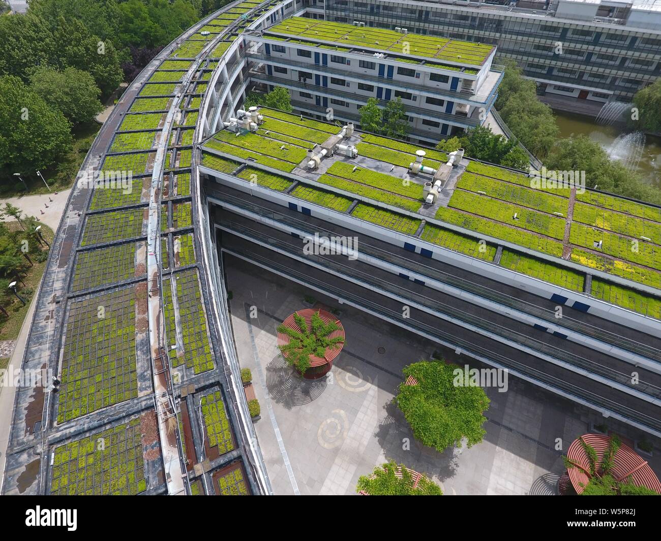 Aerial view of rooftop greening on high-rising buildings in Zhengdong ...