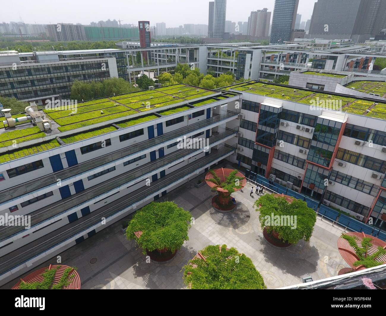 Aerial view of rooftop greening on high-rising buildings in Zhengdong ...