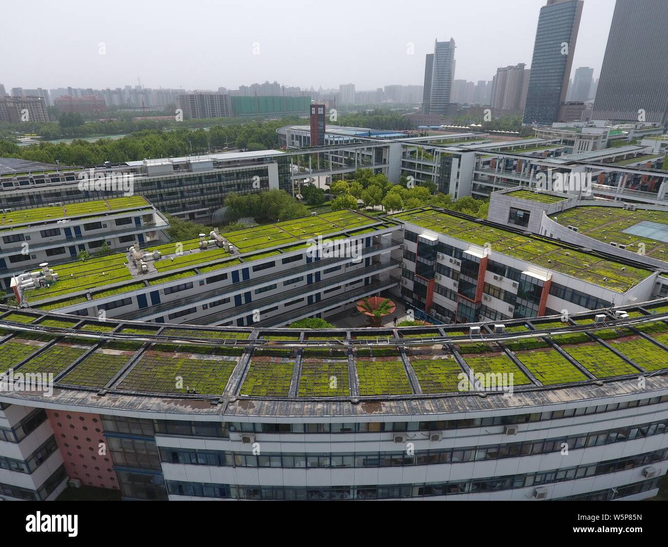 Aerial view of rooftop greening on high-rising buildings in Zhengdong ...