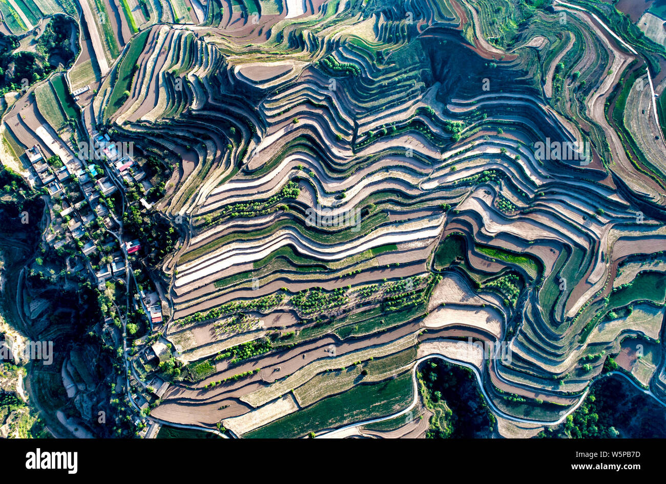 Aerial view of the palette-like Hanyuan terraced fields in Wanrong ...