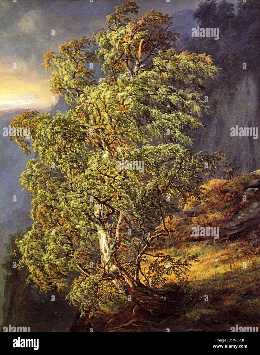 ICDahl, Bjerk i storm Stock Photo - Alamy