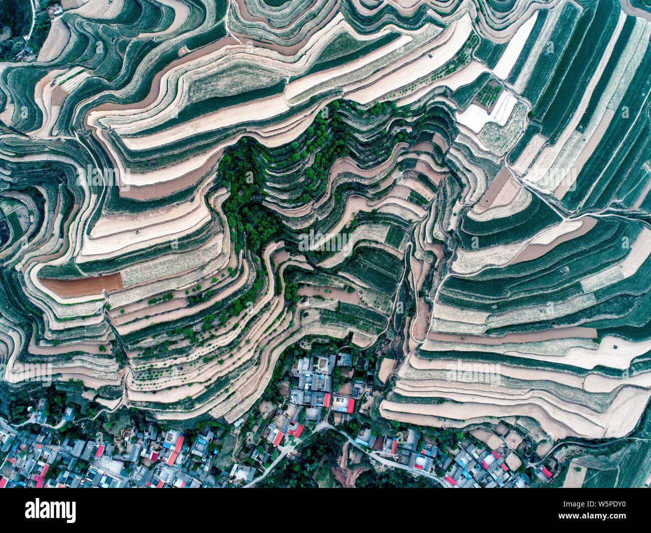 Aerial view of the palette-like Hanyuan terraced fields in Wanrong ...