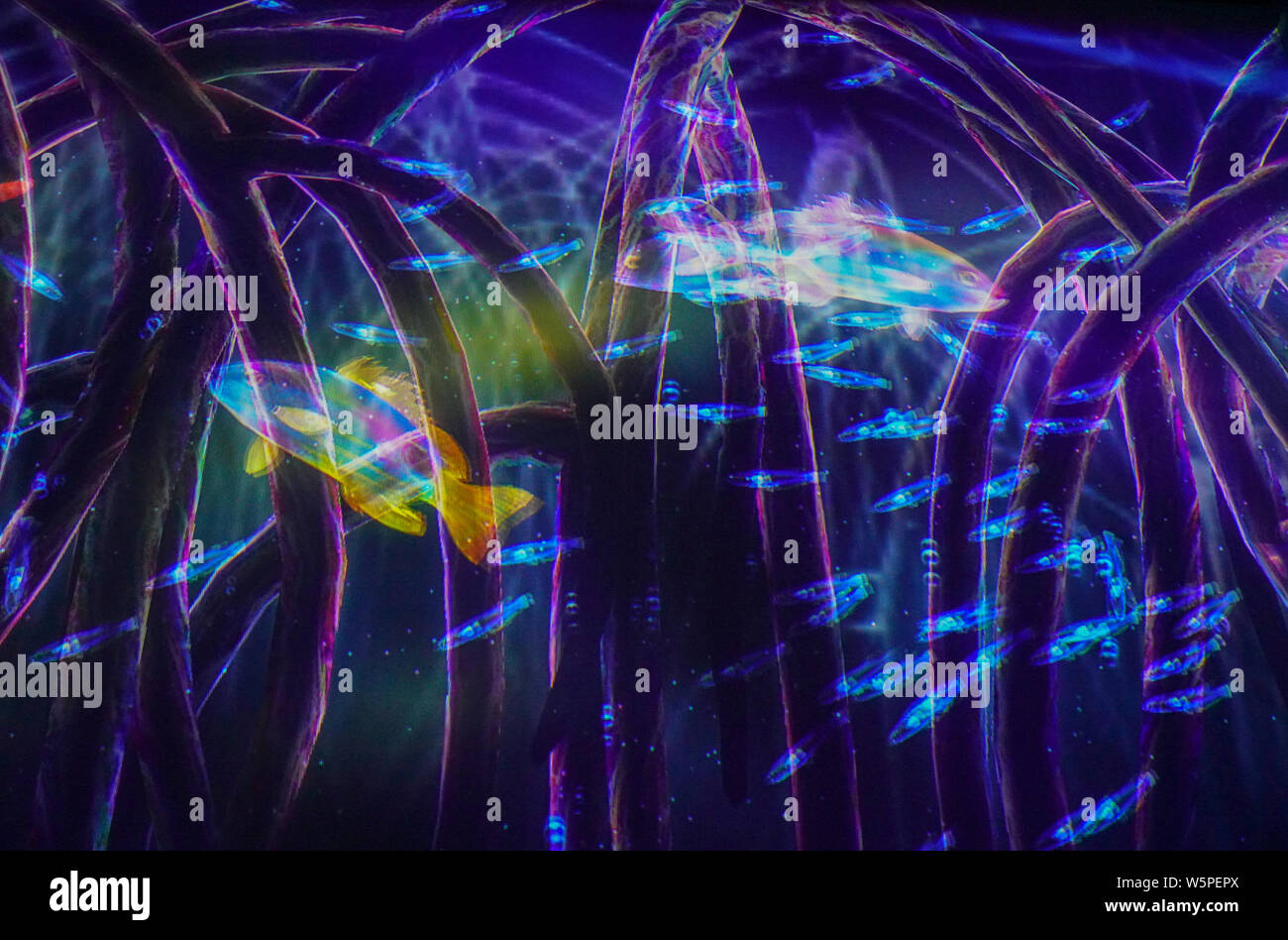 The Botanic Garden is illuminated by colorful lights during a light ...