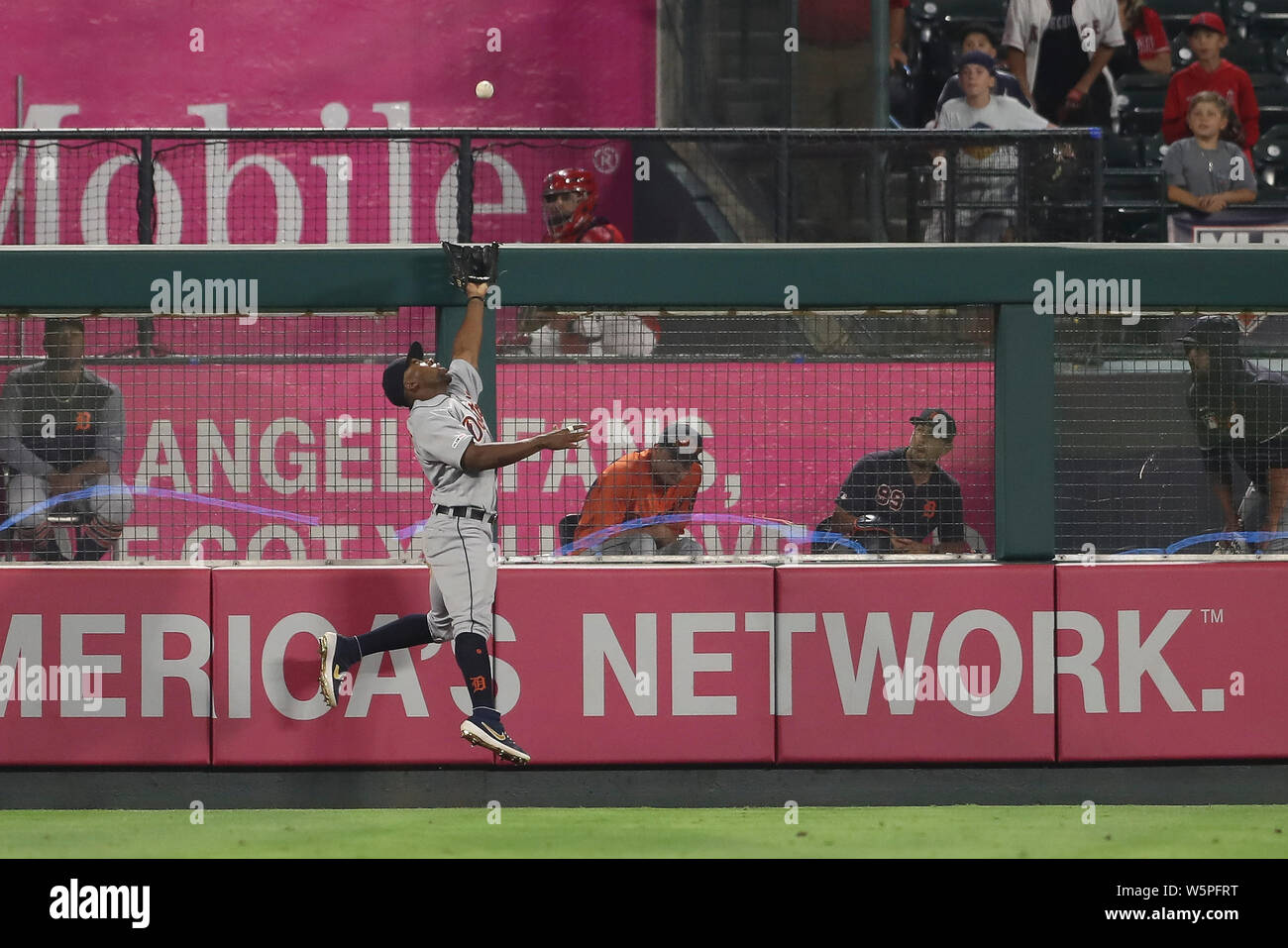 Christin stewart tigers hi-res stock photography and images - Alamy