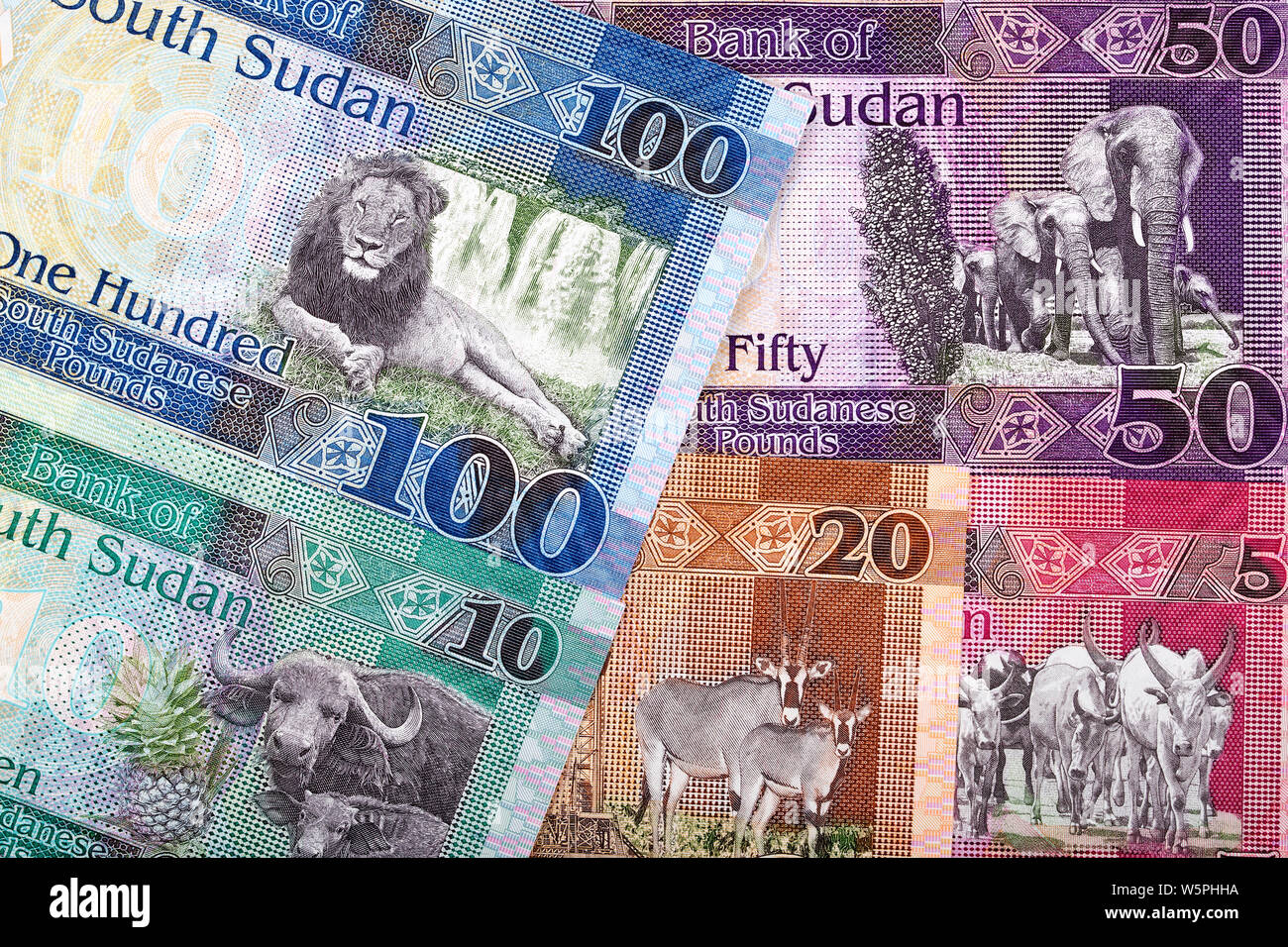 South Sudanese Pounds, a business background Stock Photo - Alamy