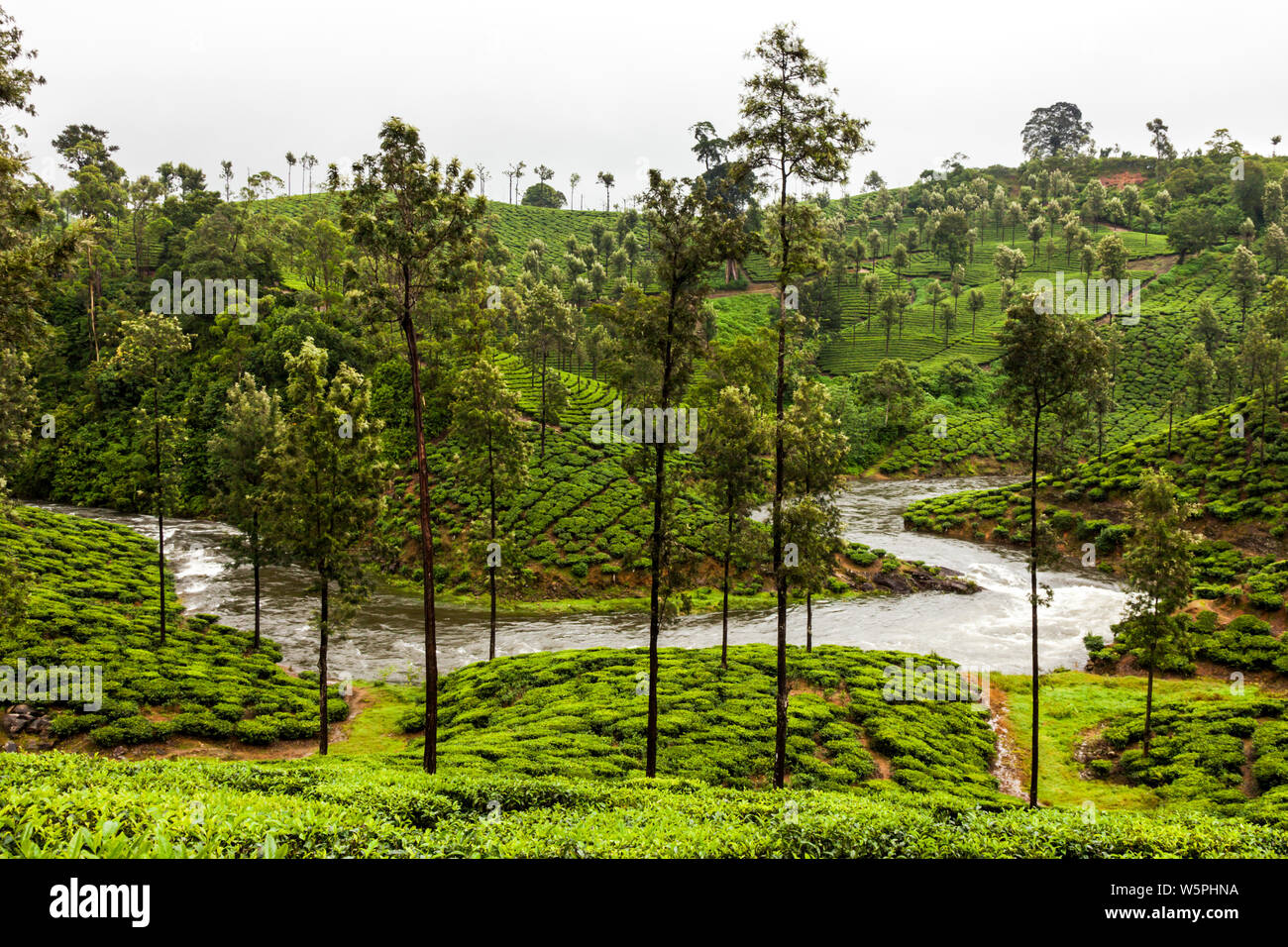 Valparai hi-res stock photography and images - Alamy