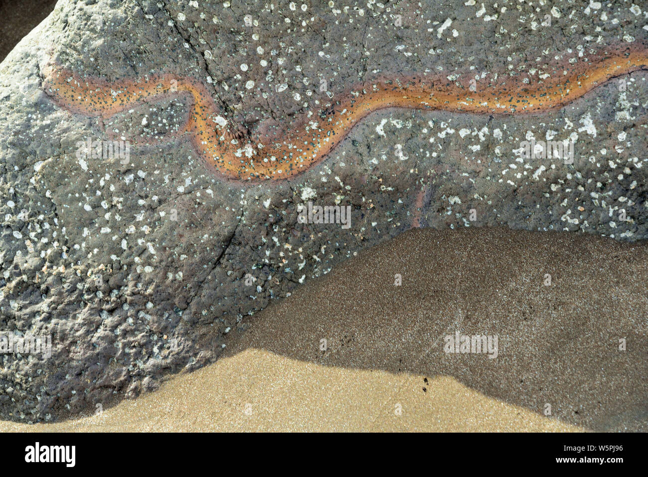 Pattern on rock Kosamba beach Valsad Gujarat India Asia Stock Photo - Alamy