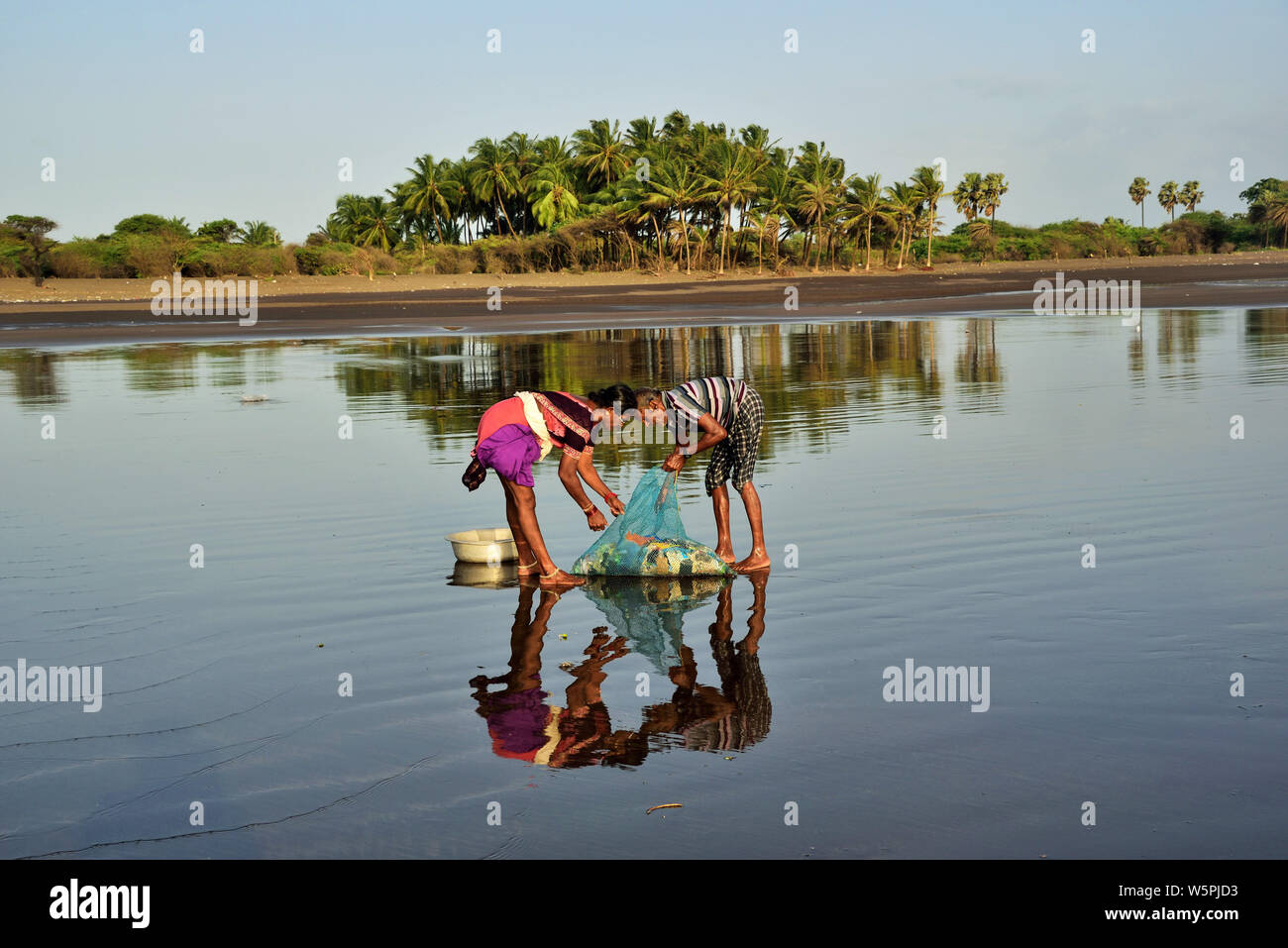 Fishermen collecting garbage Bhagal Beach Valsad Gujarat India Asia ...