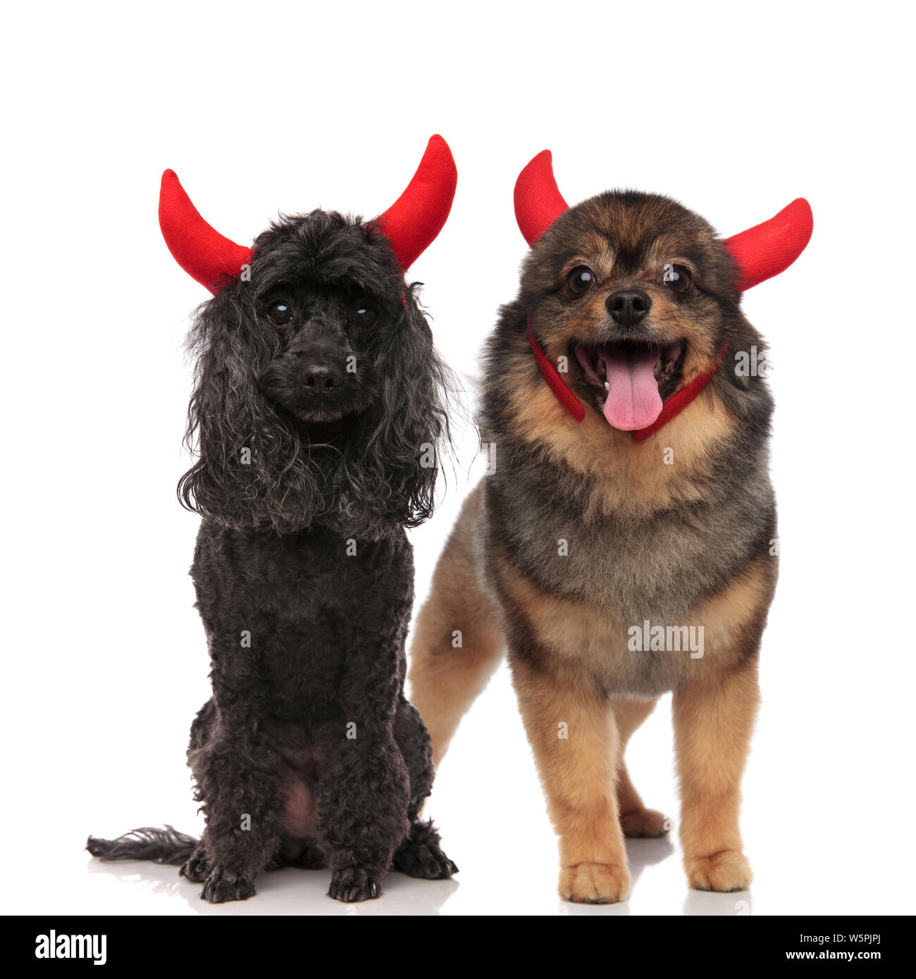 Red devil couple on white background Stock Photo - Alamy