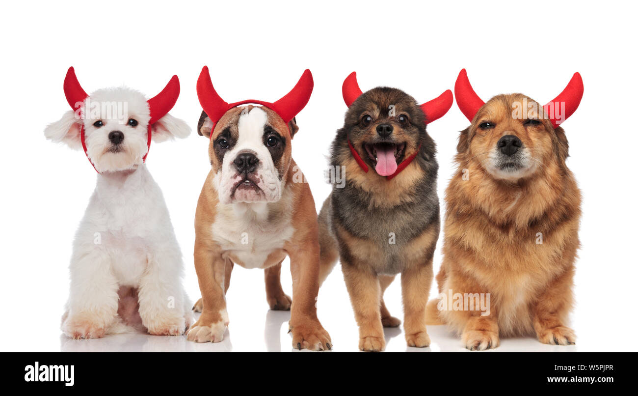 cute group of four different devil dogs with red horns standing and ...