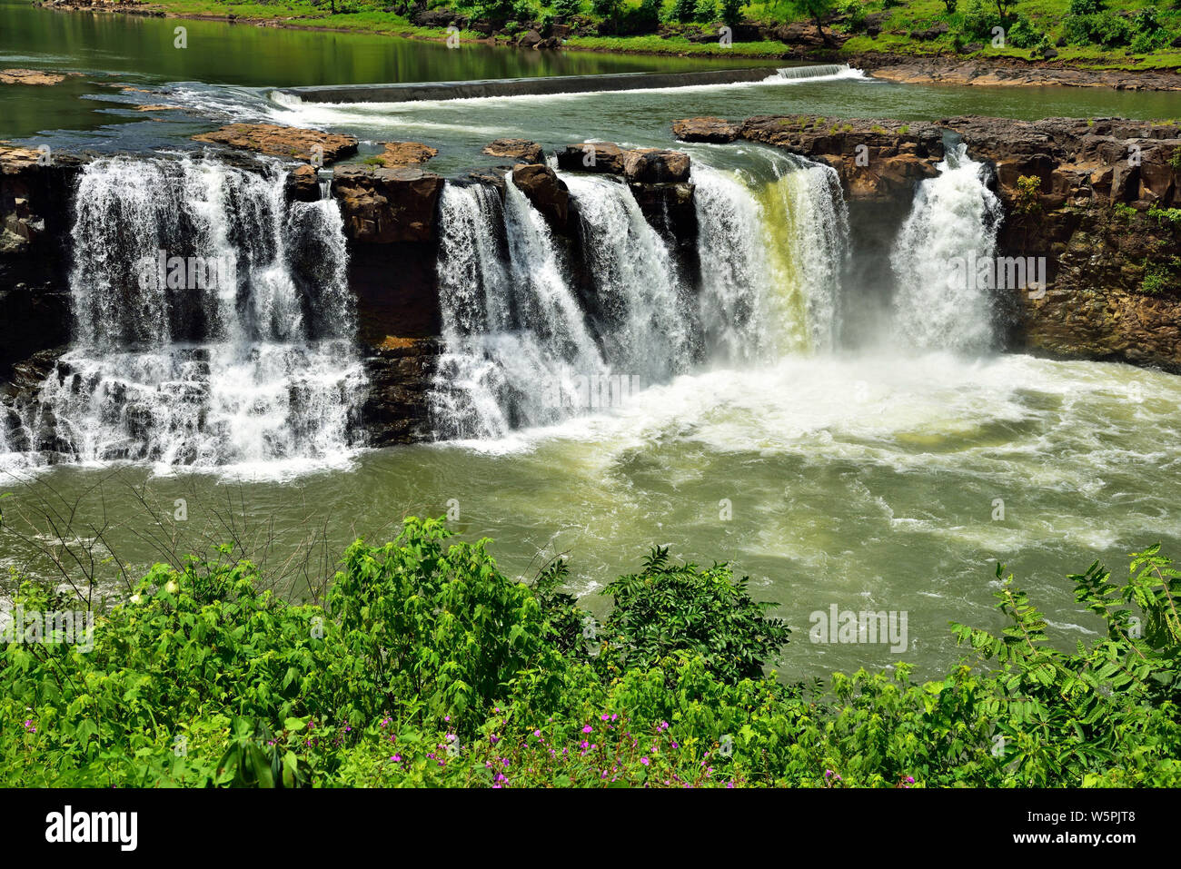 Saputara dang hi-res stock photography and images - Alamy