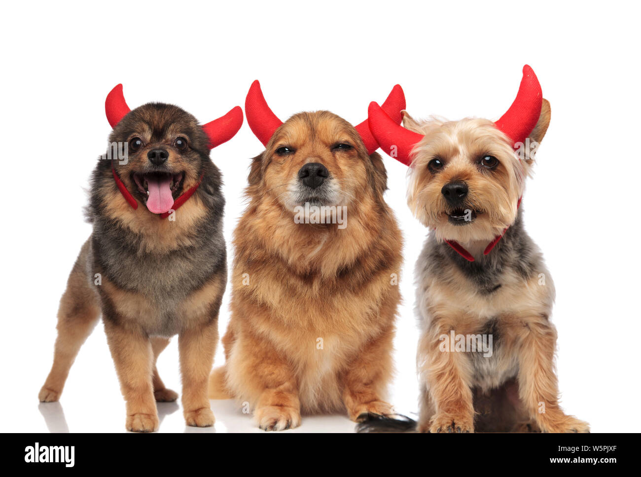 Three devils look hi-res stock photography and images - Alamy
