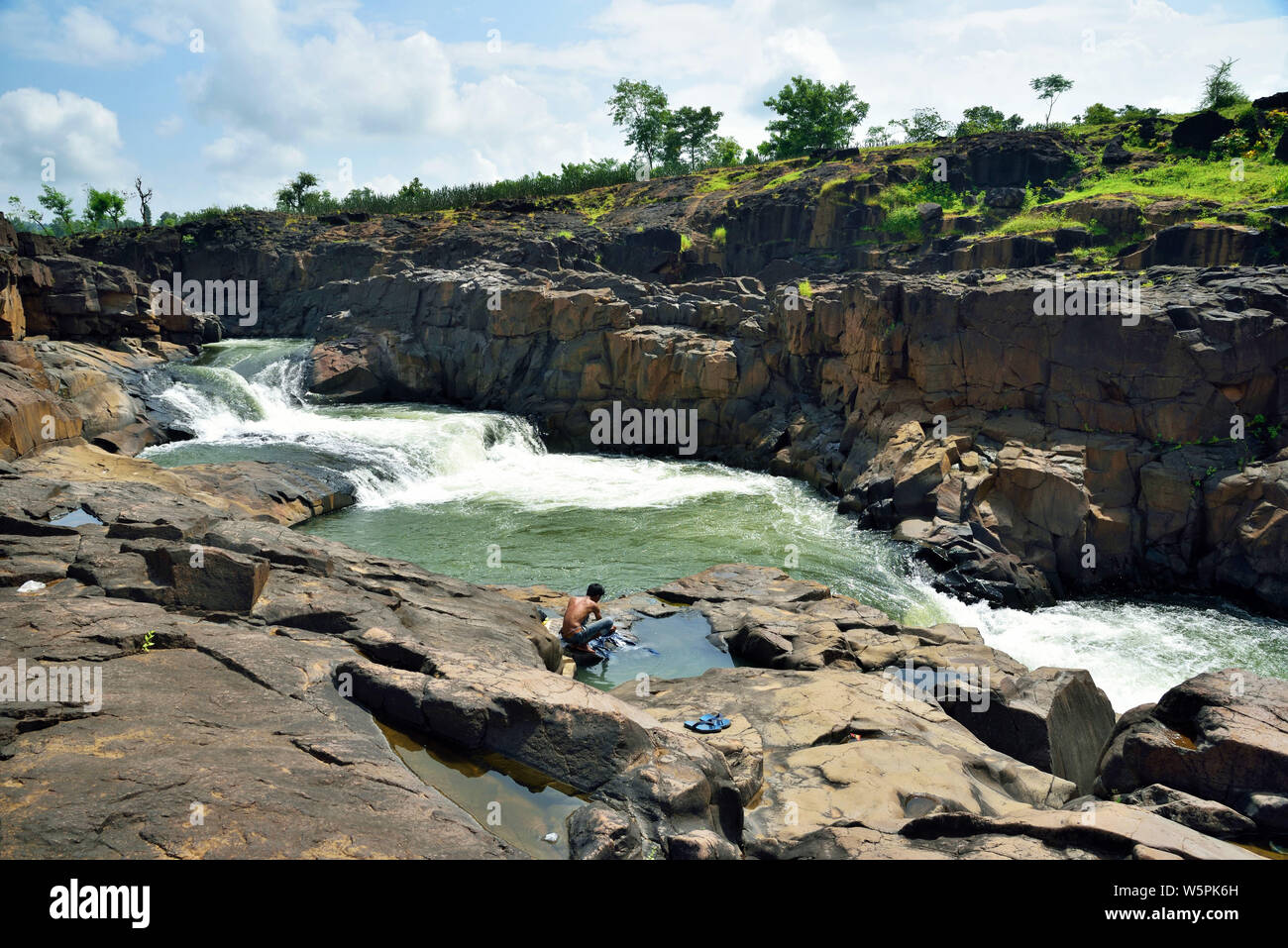 Gujarat forests hi-res stock photography and images - Alamy