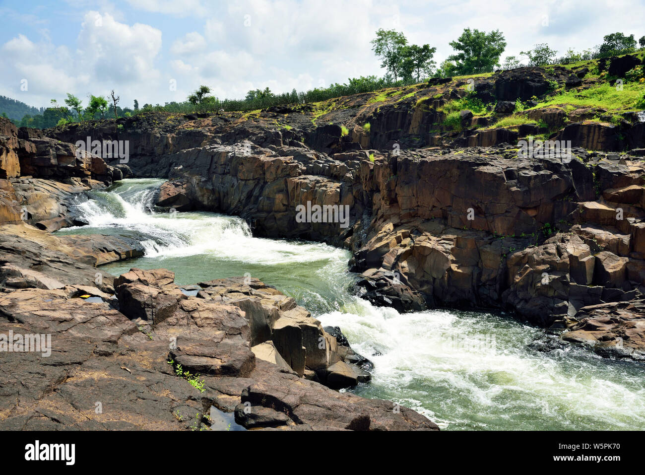 Gujarat forests hi-res stock photography and images - Alamy