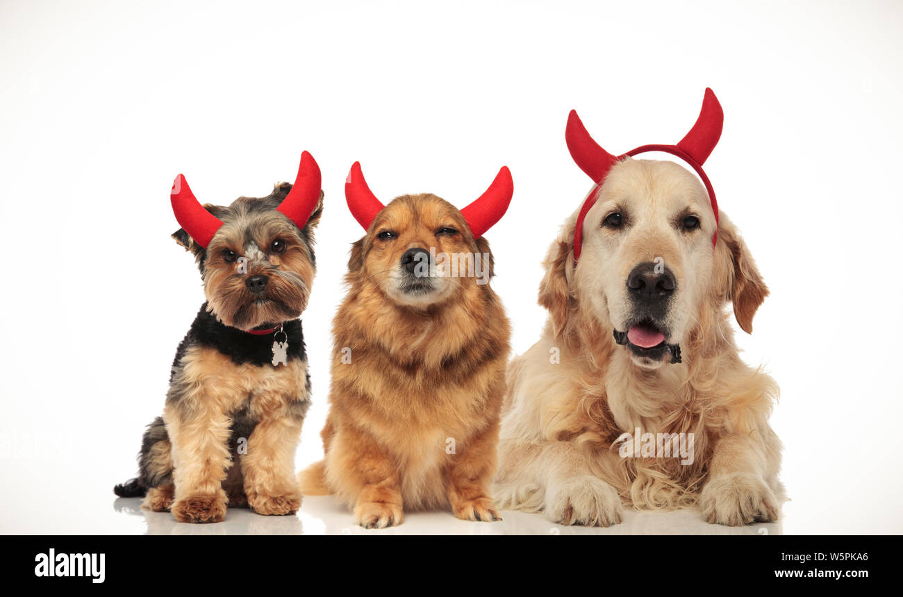 Devil seated hi-res stock photography and images - Alamy