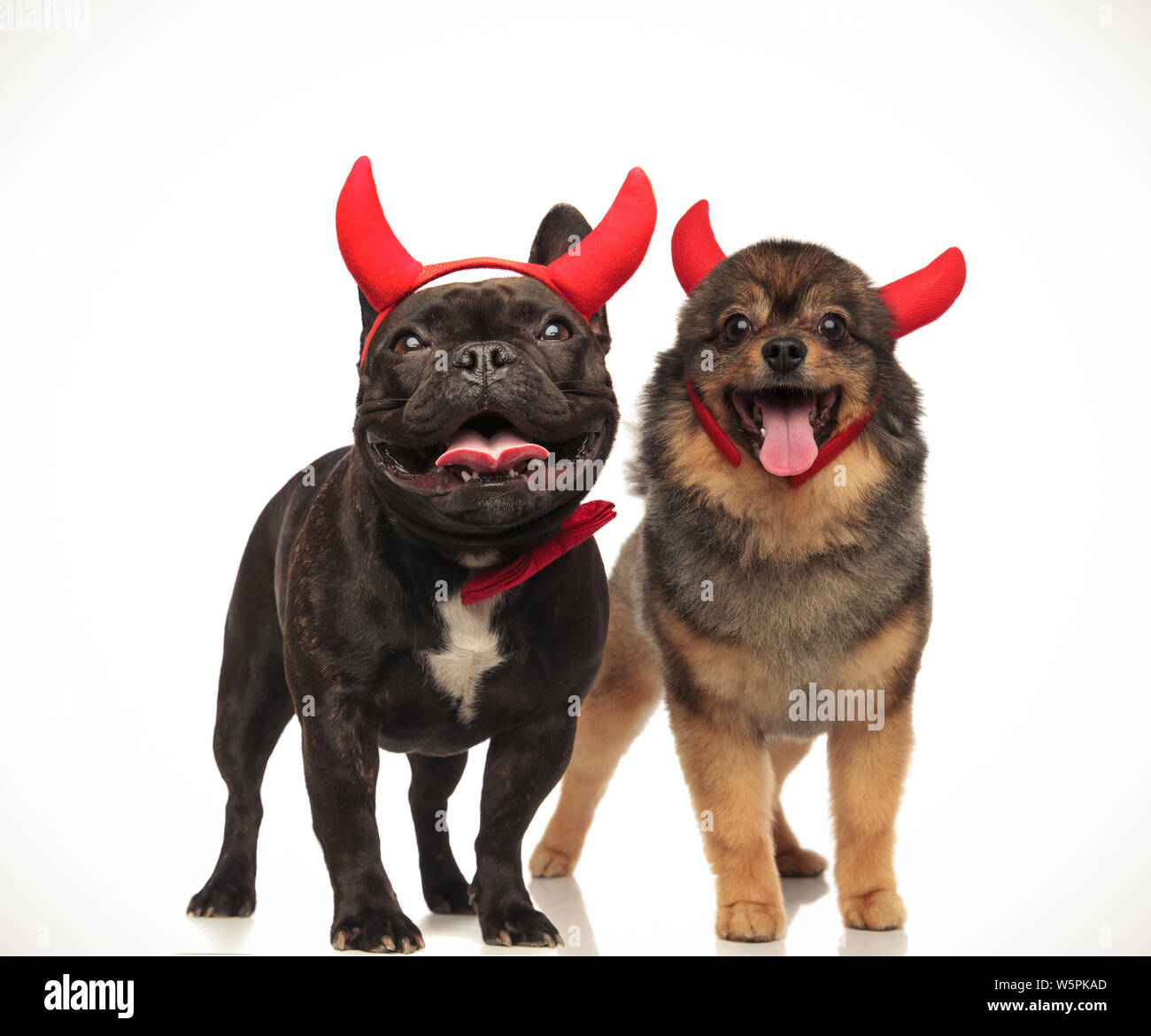 Cute devil hi-res stock photography and images - Alamy