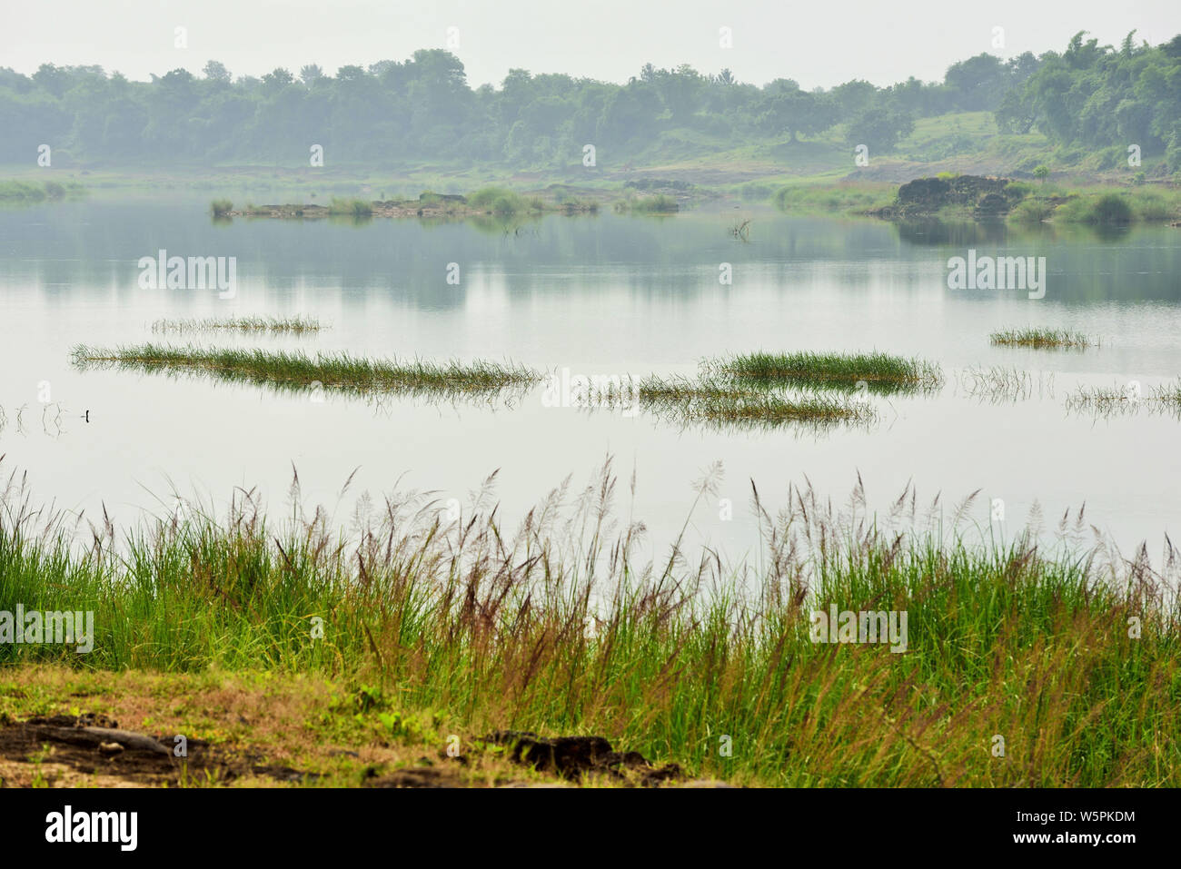 Auranga river hi-res stock photography and images - Alamy