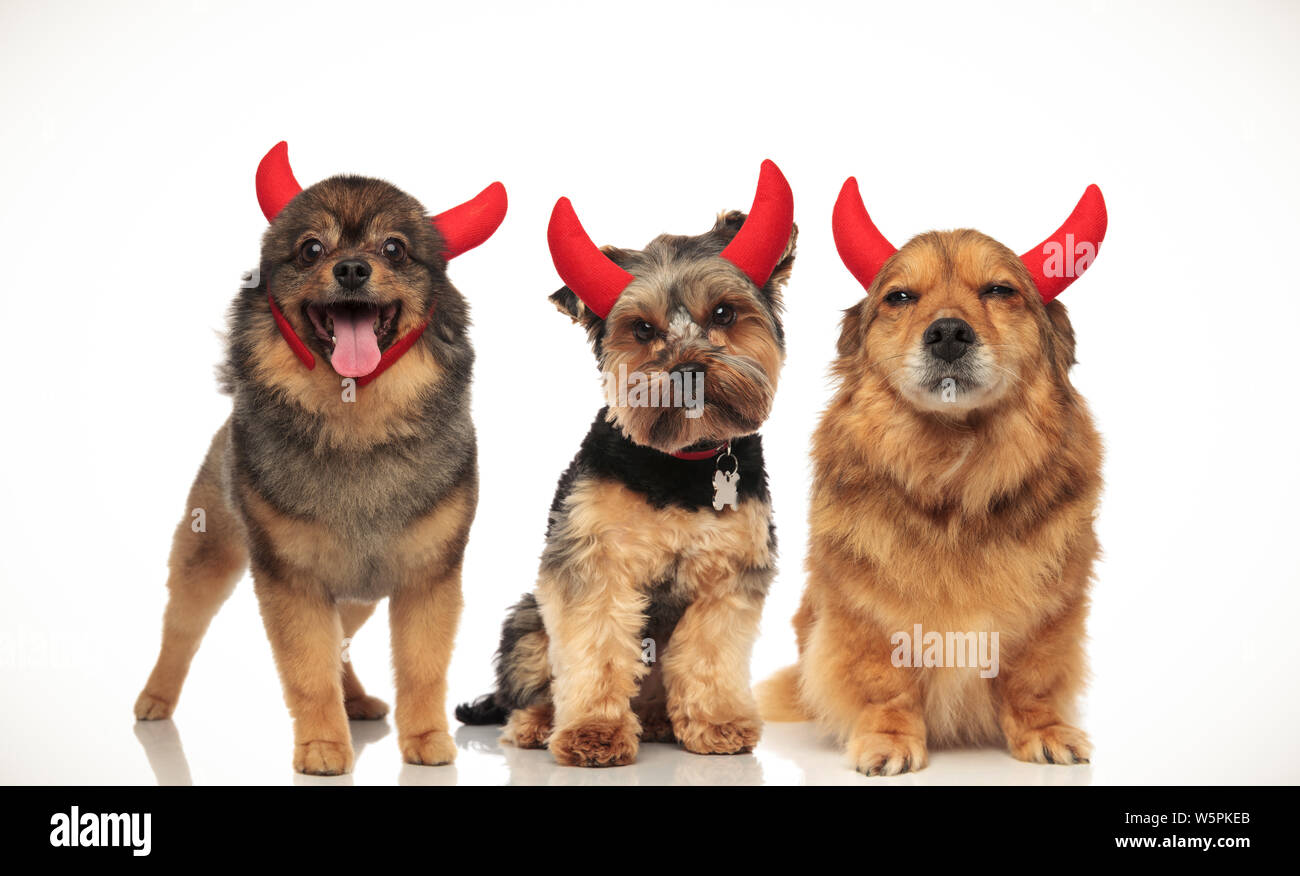 Three Devils Look High Resolution Stock Photography and Images - Alamy