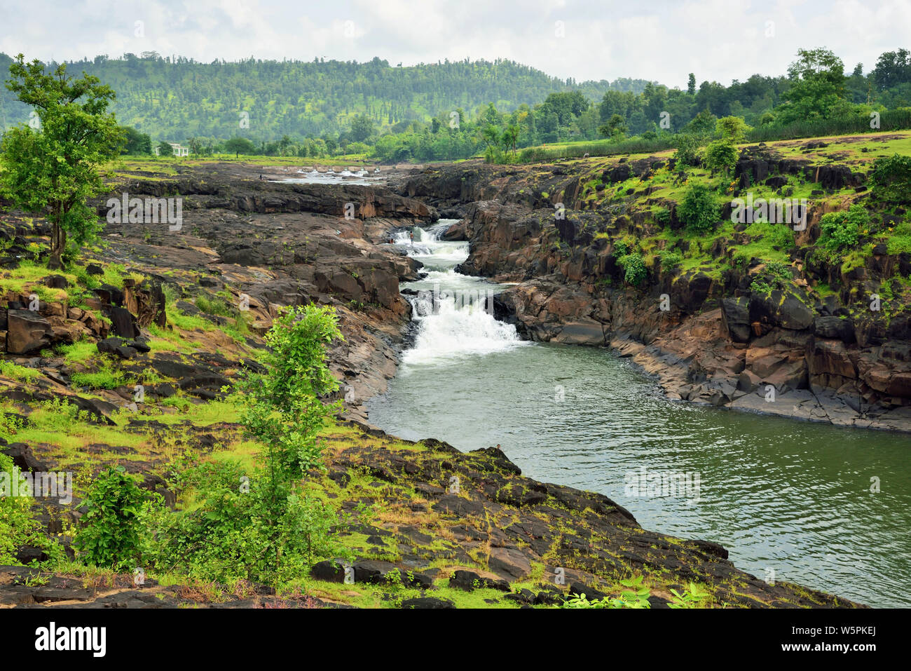 Gujarat forests hi-res stock photography and images - Alamy