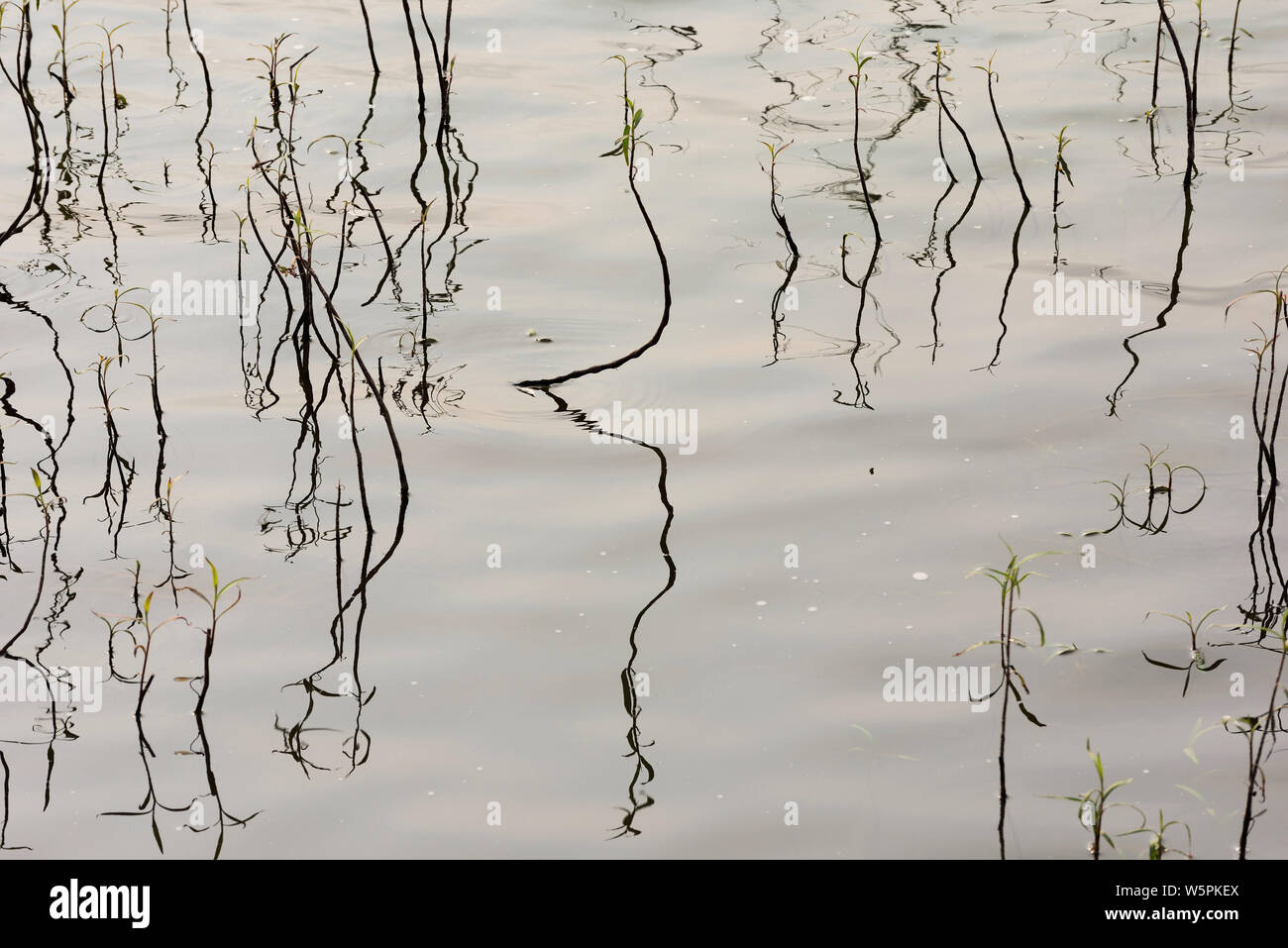 Water doublespread hi-res stock photography and images - Alamy