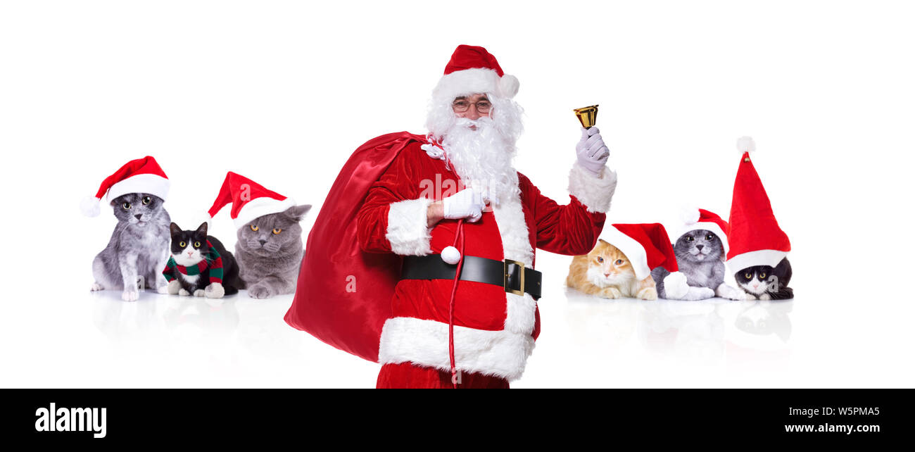 portrait of santa claus standing in front of group of christmas cats ...