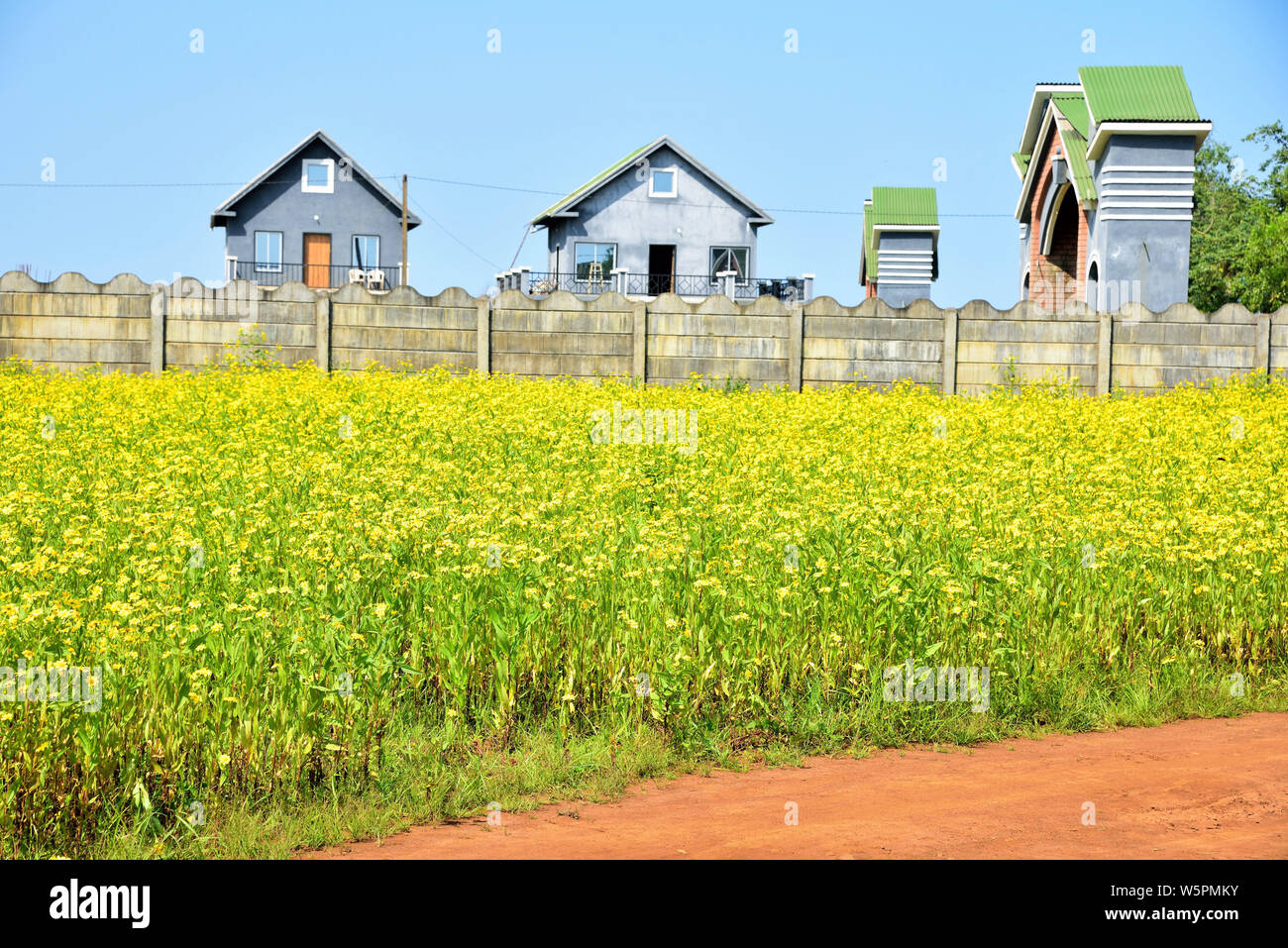 Raydo hi-res stock photography and images - Alamy