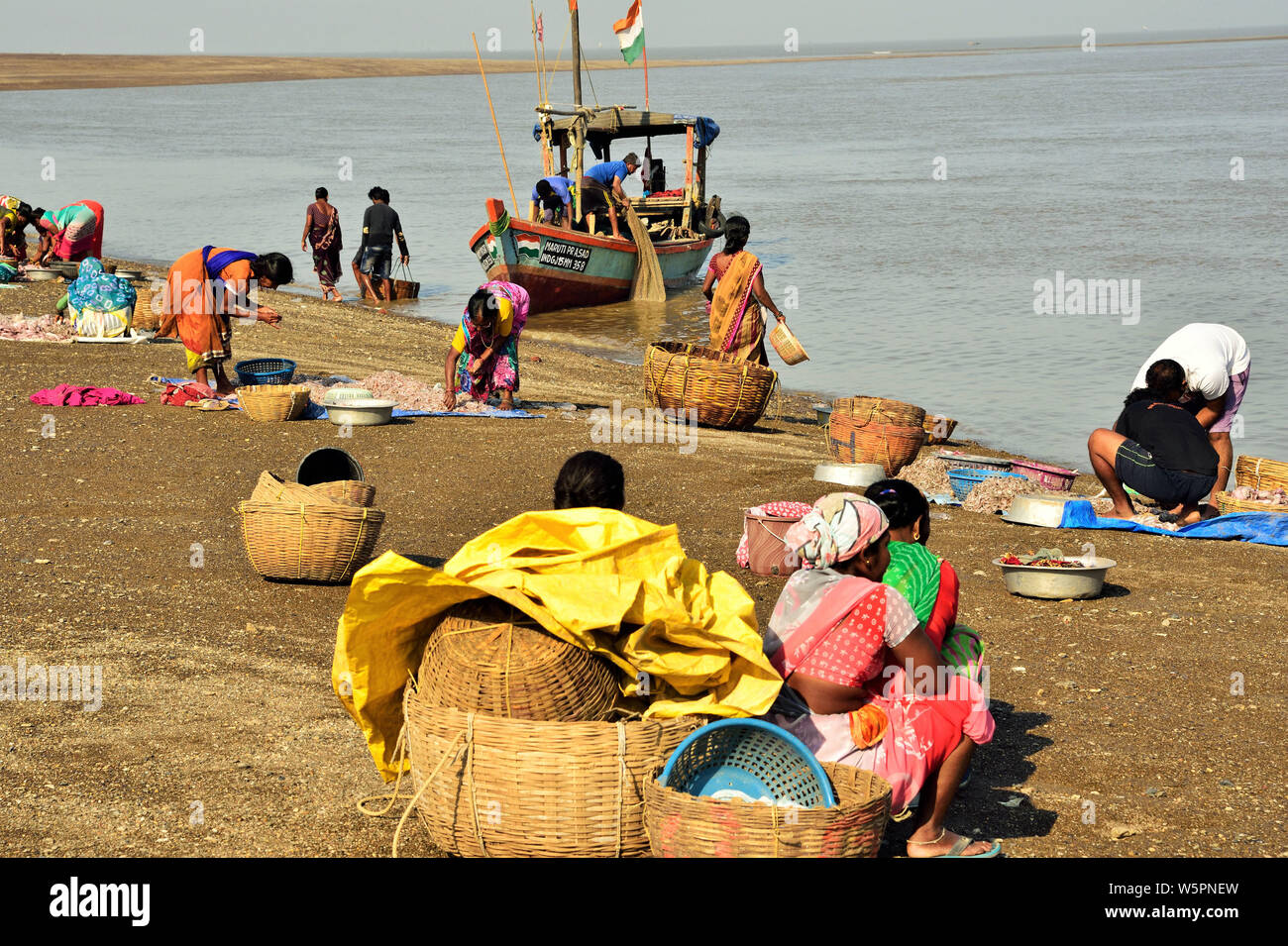 Indian fishermen gujarat hi-res stock photography and images - Alamy