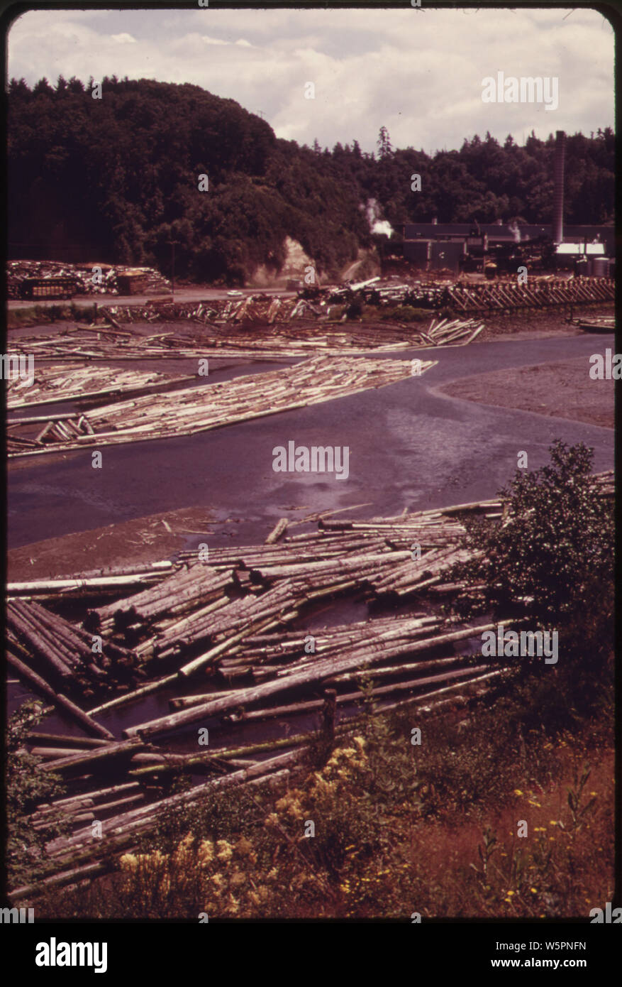 LOG STORAGE IN TIDAL BASIN OF CHAMBERS CREEK. STORING LOGS IN DECKS ON ...