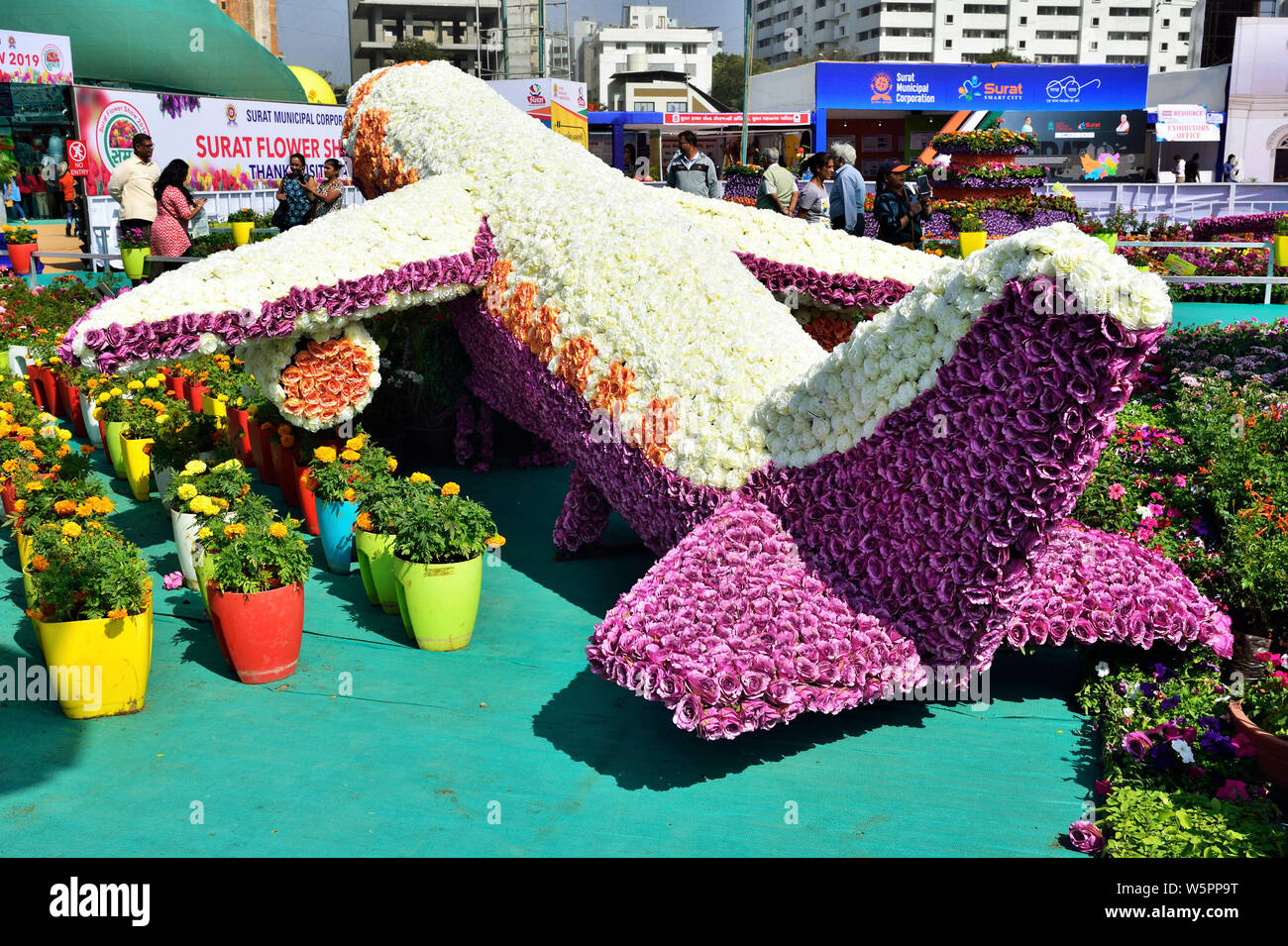 Aeroplane made of flowers hi-res stock photography and images - Alamy