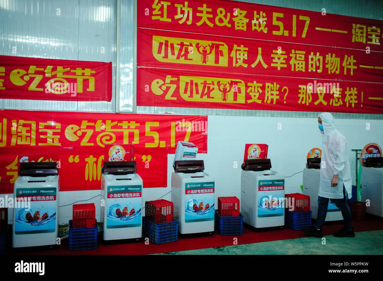 In this undated photo, Chinese workers clean lobsters through using ...