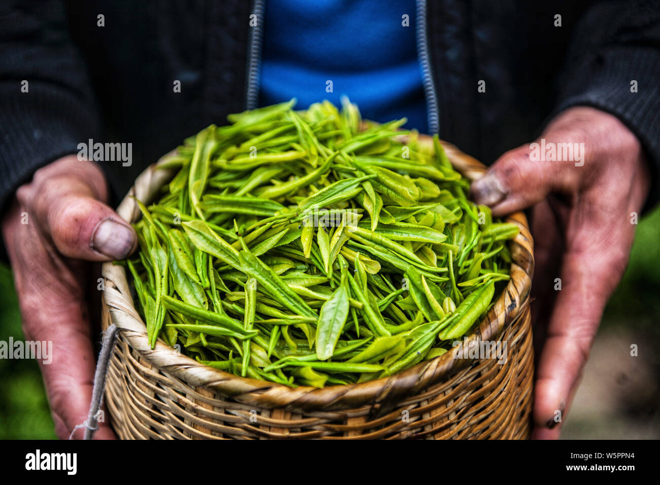 A Chinese man of Bouyei ethnic group wearing traditional costume shows ...